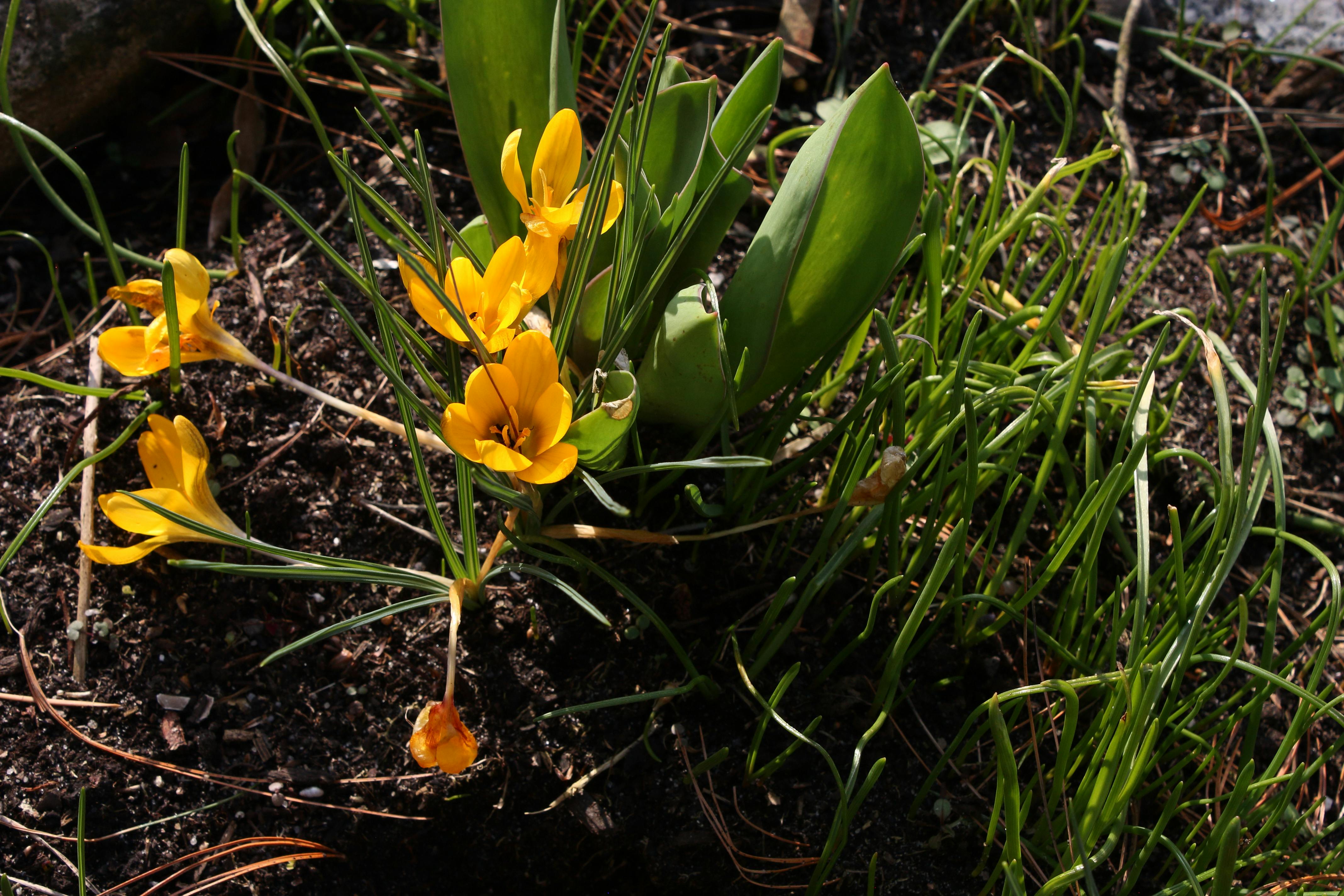 Stephan Lill - Photography