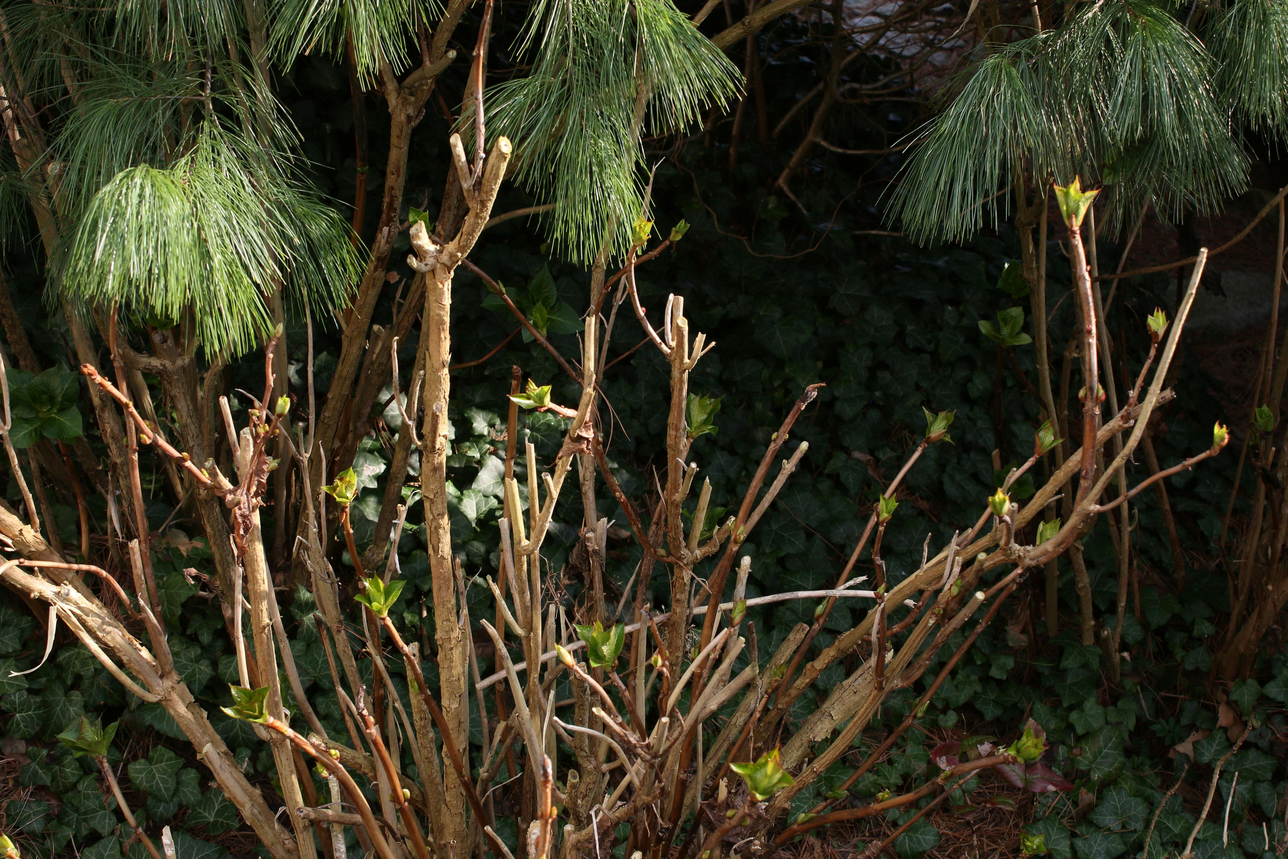 Stephan Lill - Photography