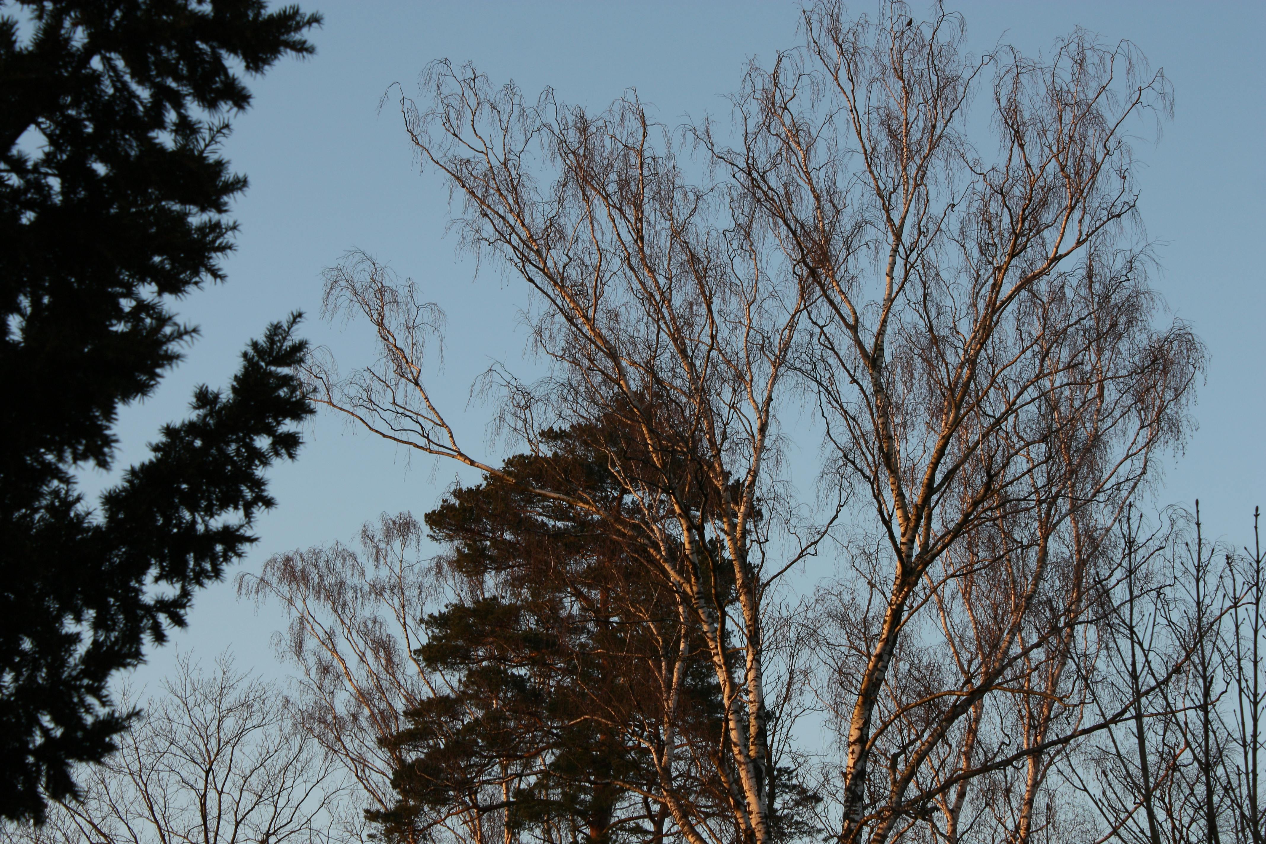 Stephan Lill - Photography