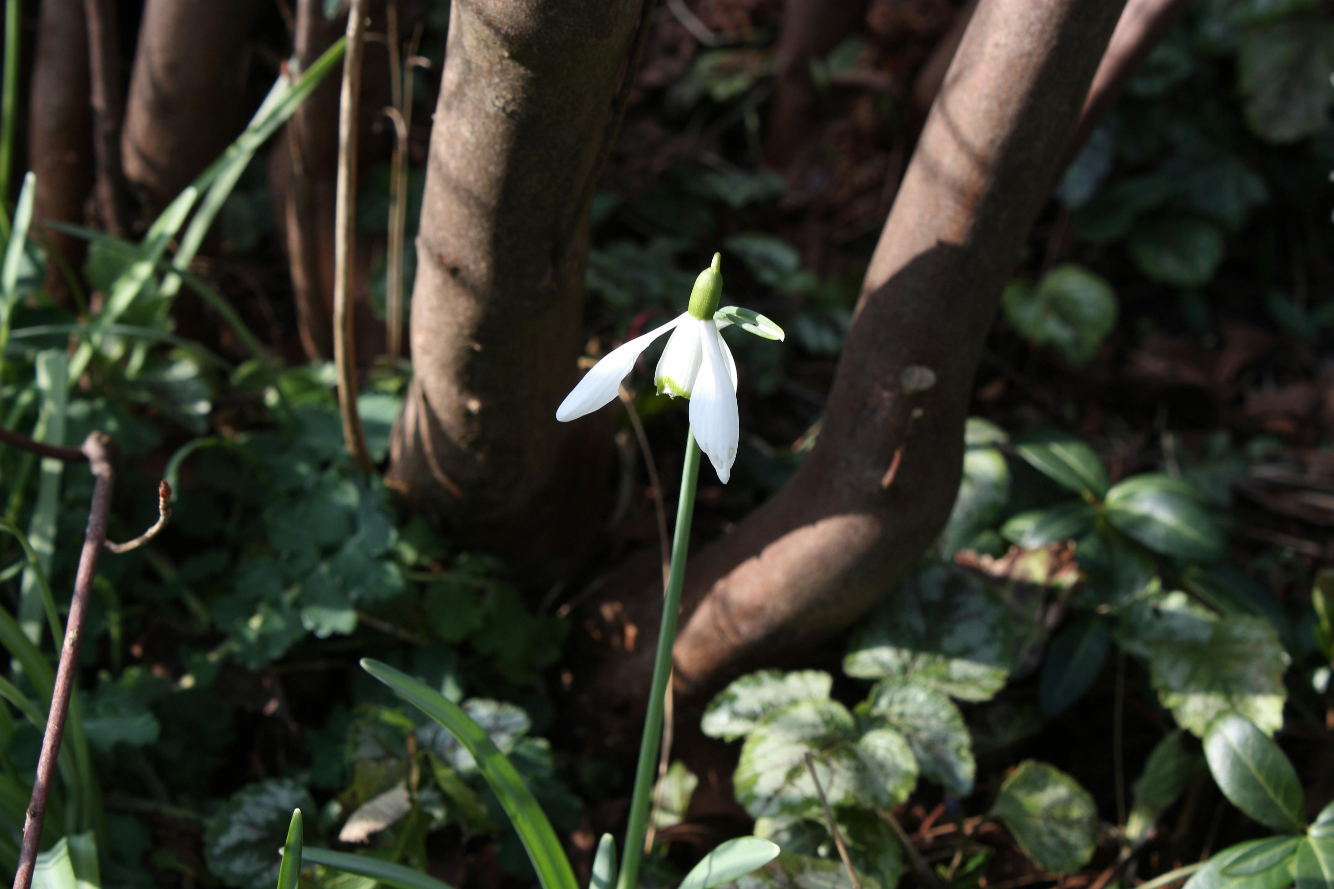 Stephan Lill - Photography