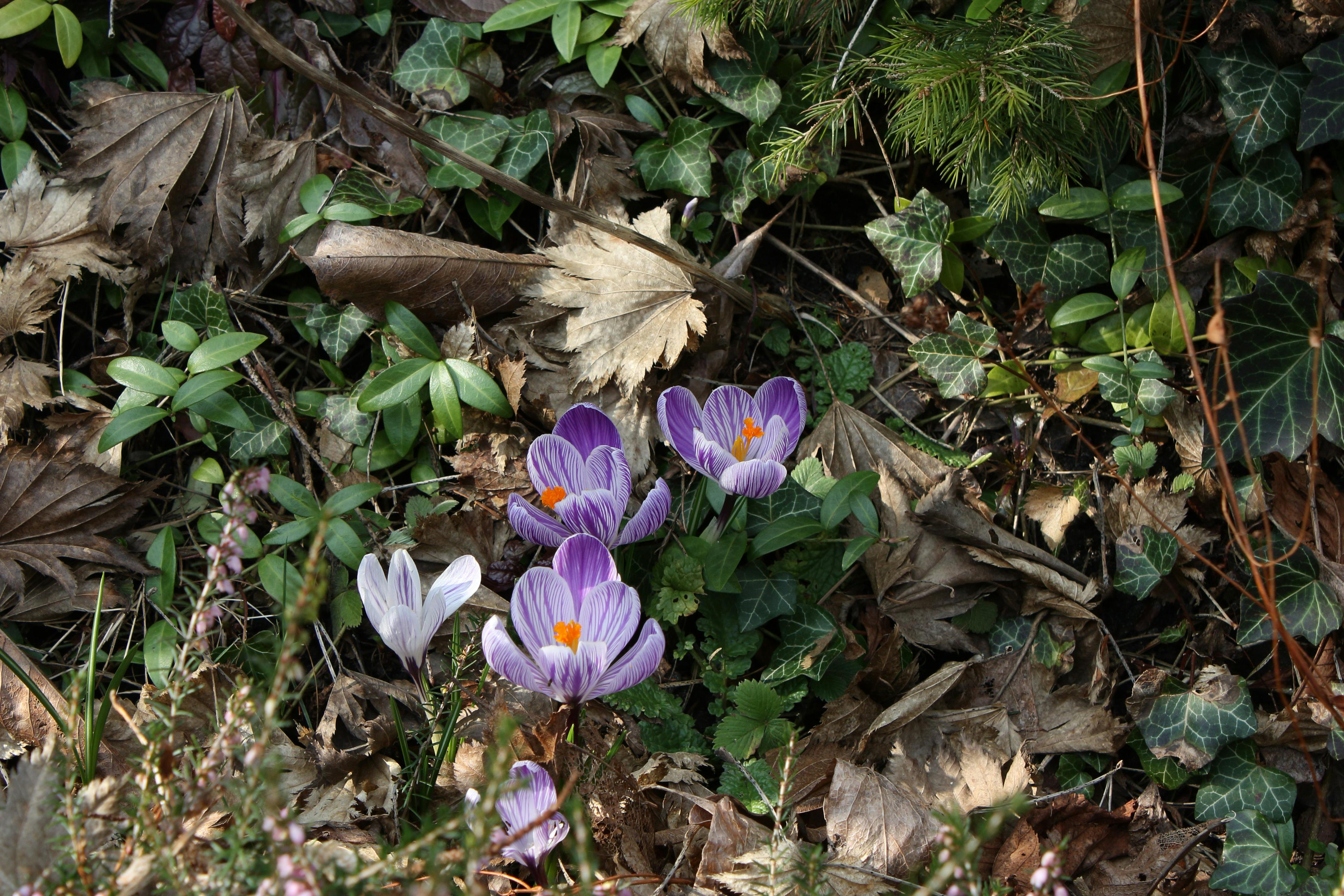 Stephan Lill - Photography