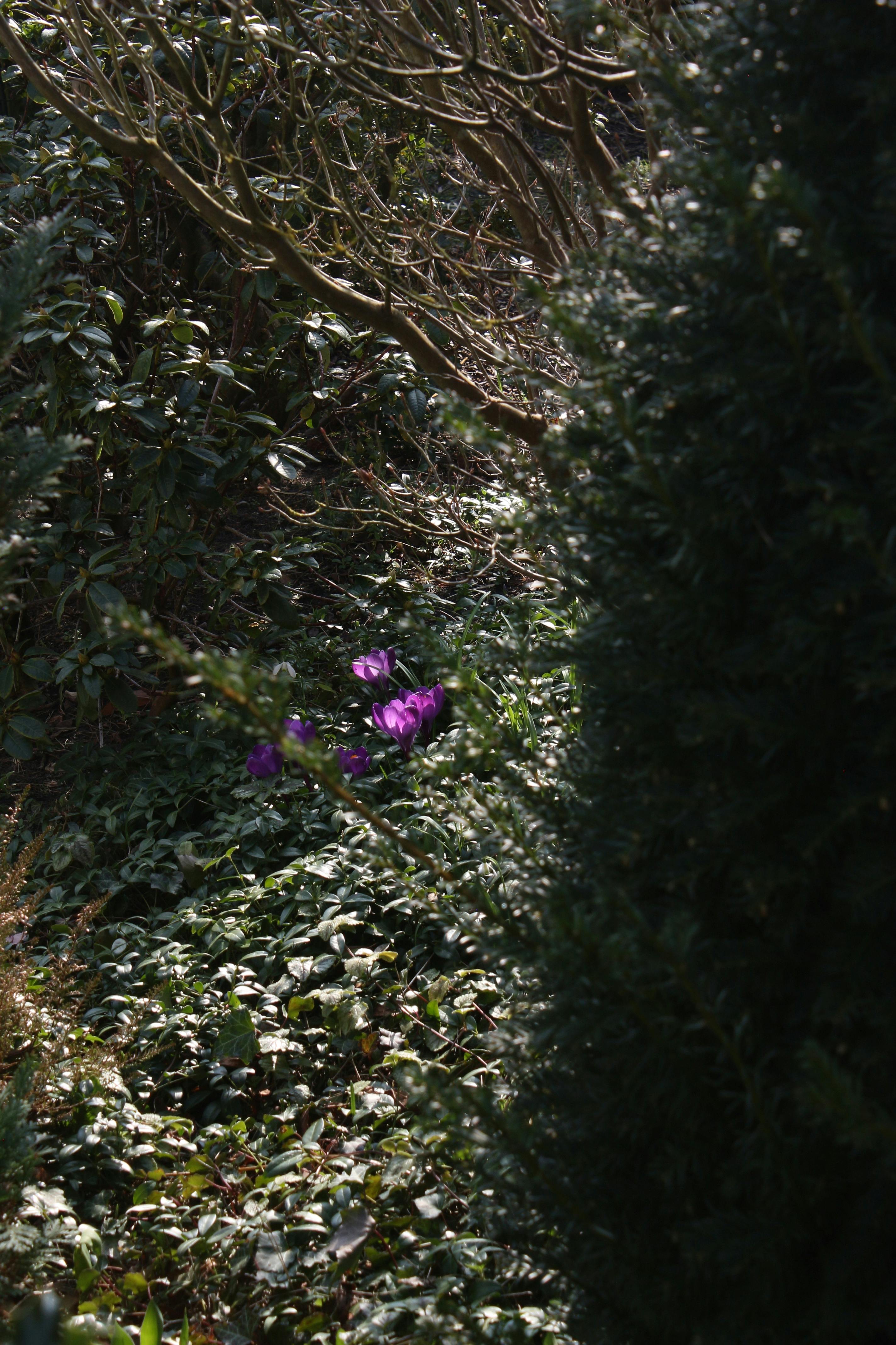 Stephan Lill - Photography