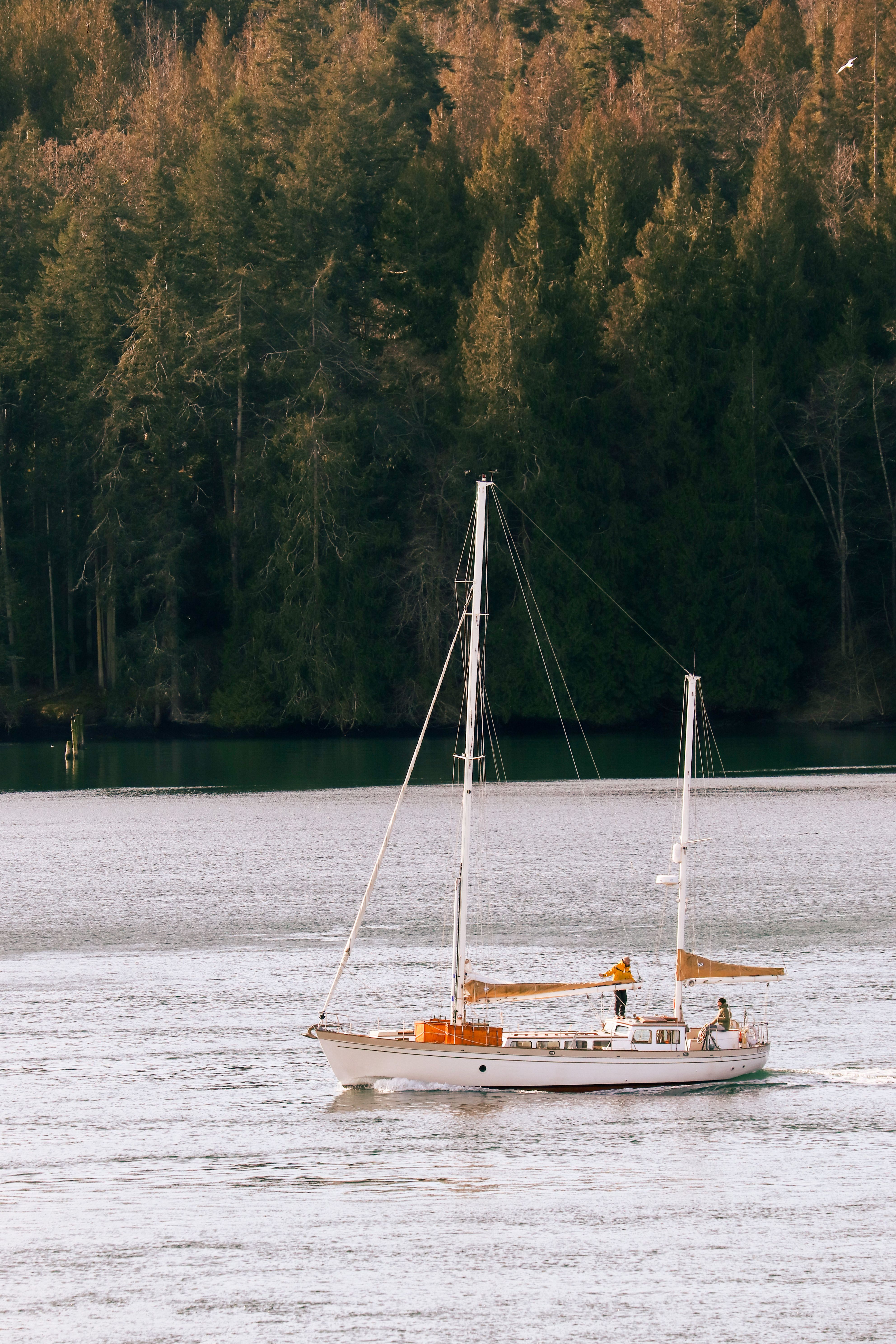 Sailboat on Lake · Free Stock Photo