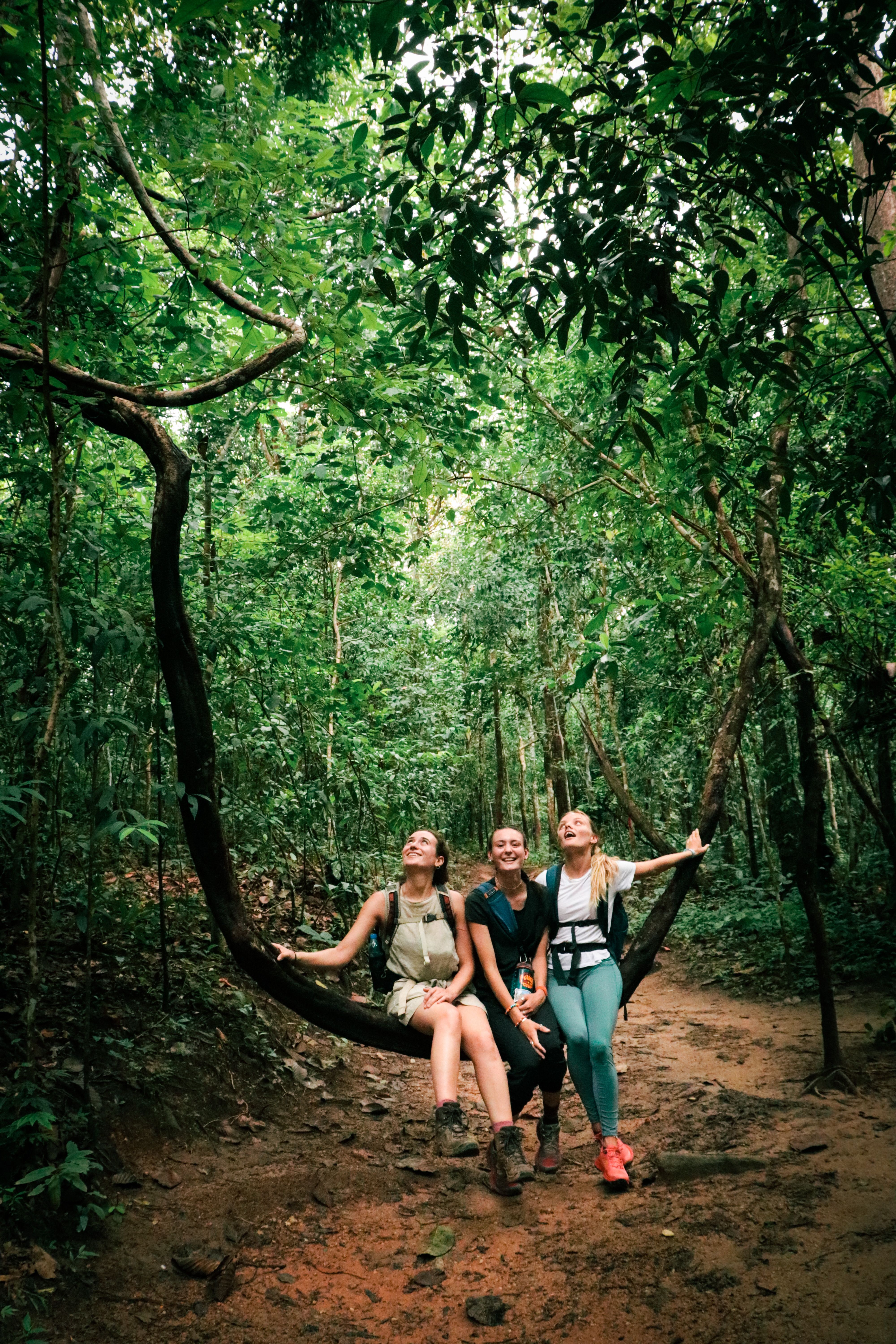 Group of Friends on a Path in Forest · Free Stock Photo