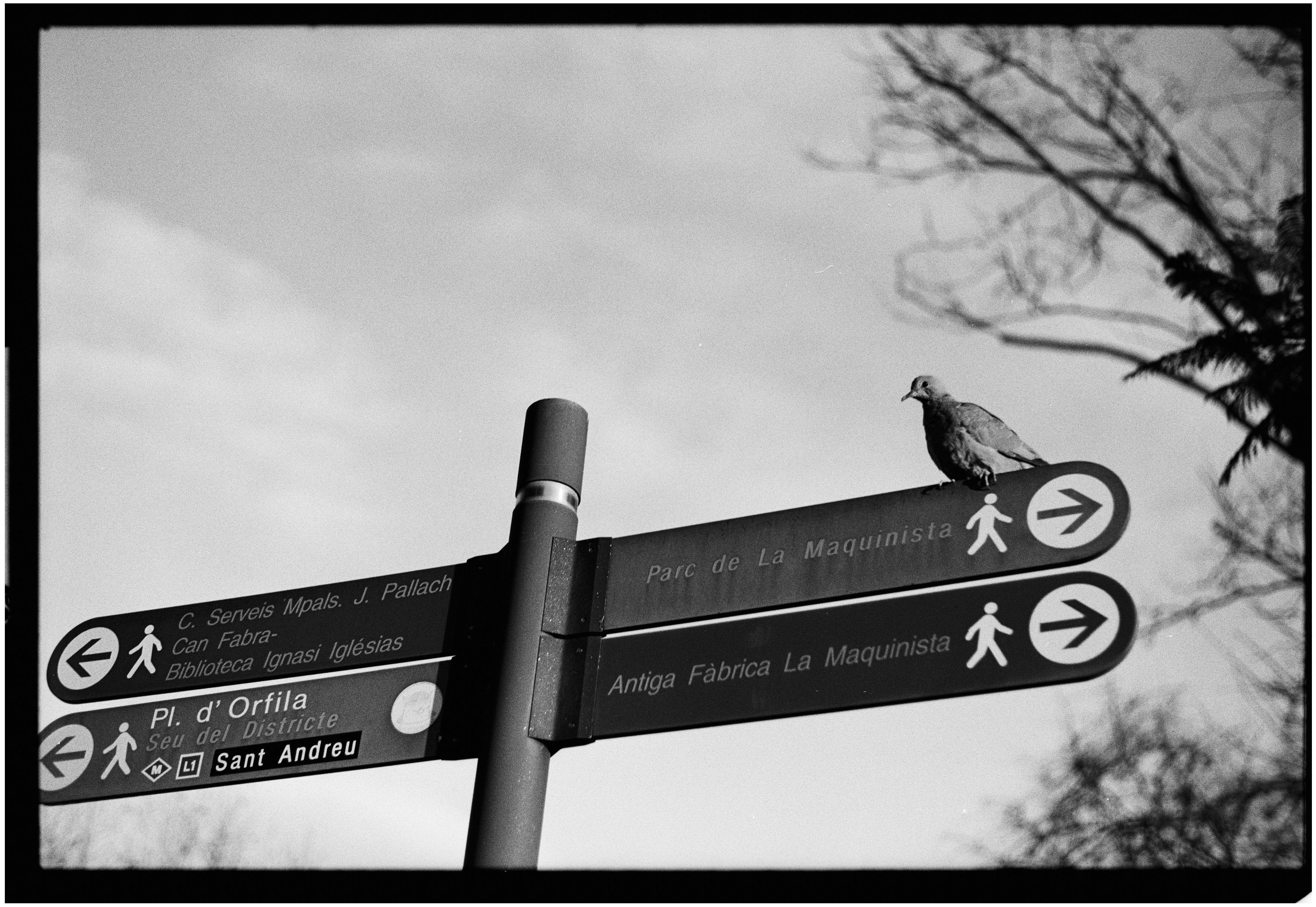 Hiking Sign Showing Different Routes · Free Stock Photo