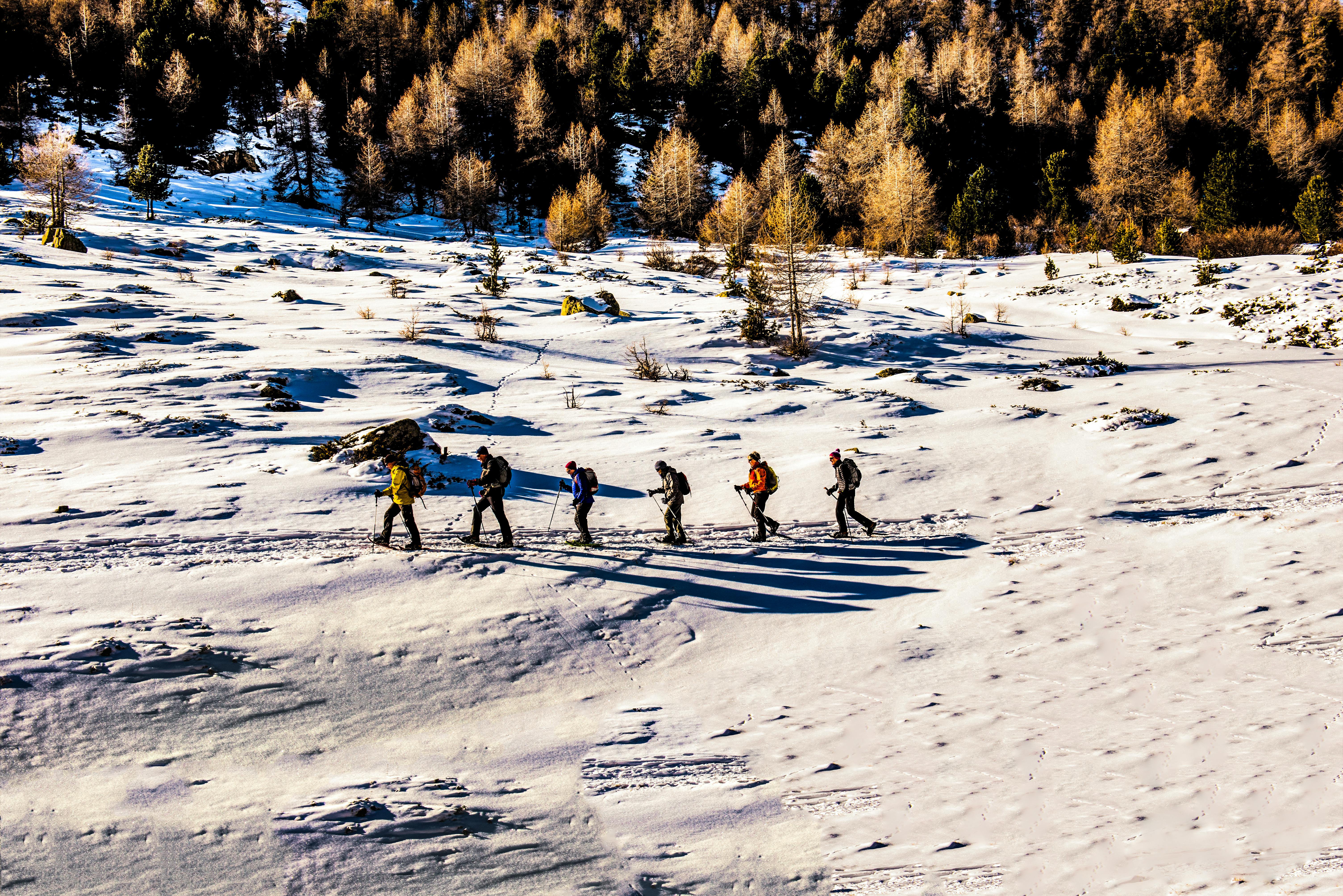 People Walking on Snow Field Grayscale Photography · Free Stock Photo