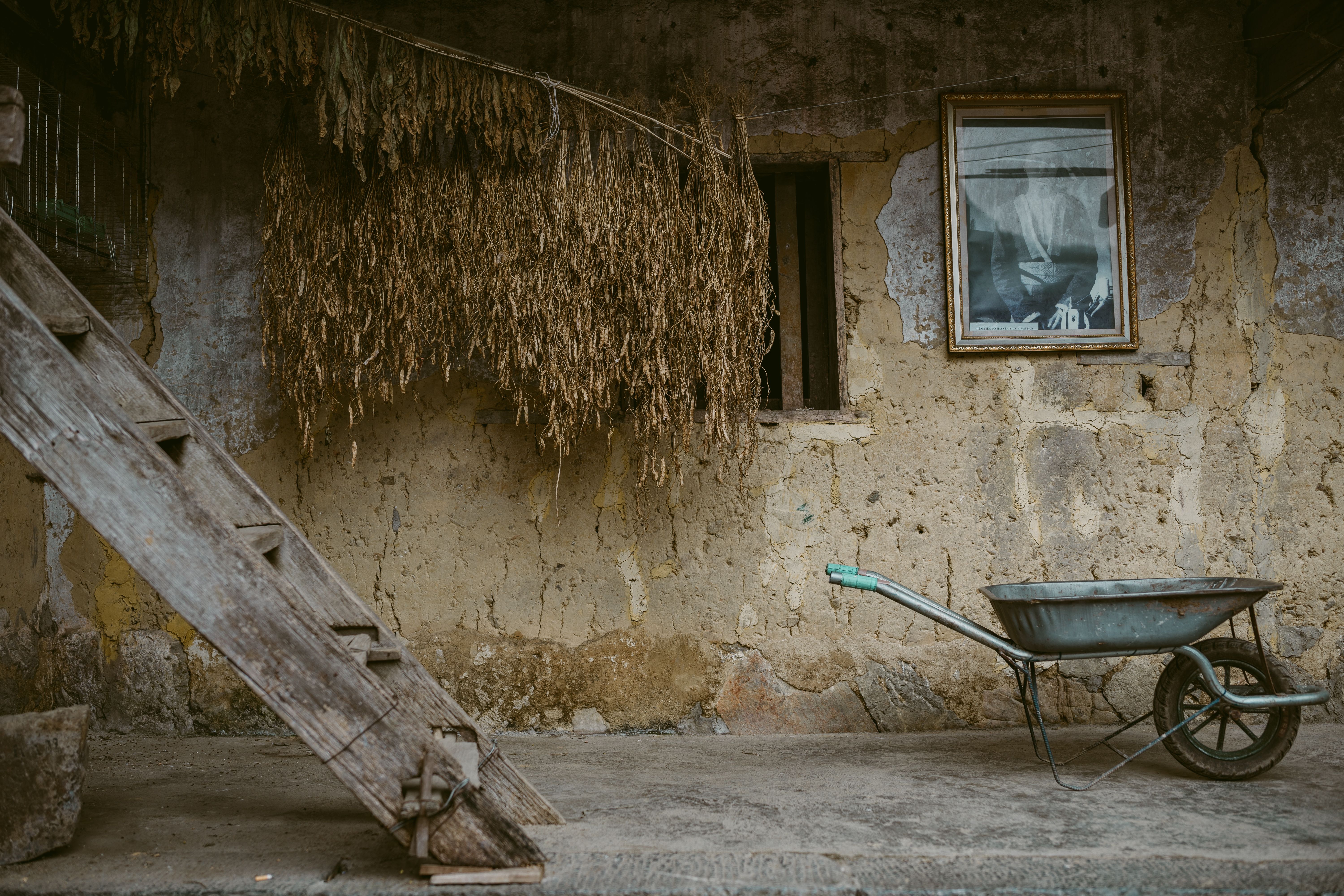 Wheelbarrow Standing by Barn · Free Stock Photo