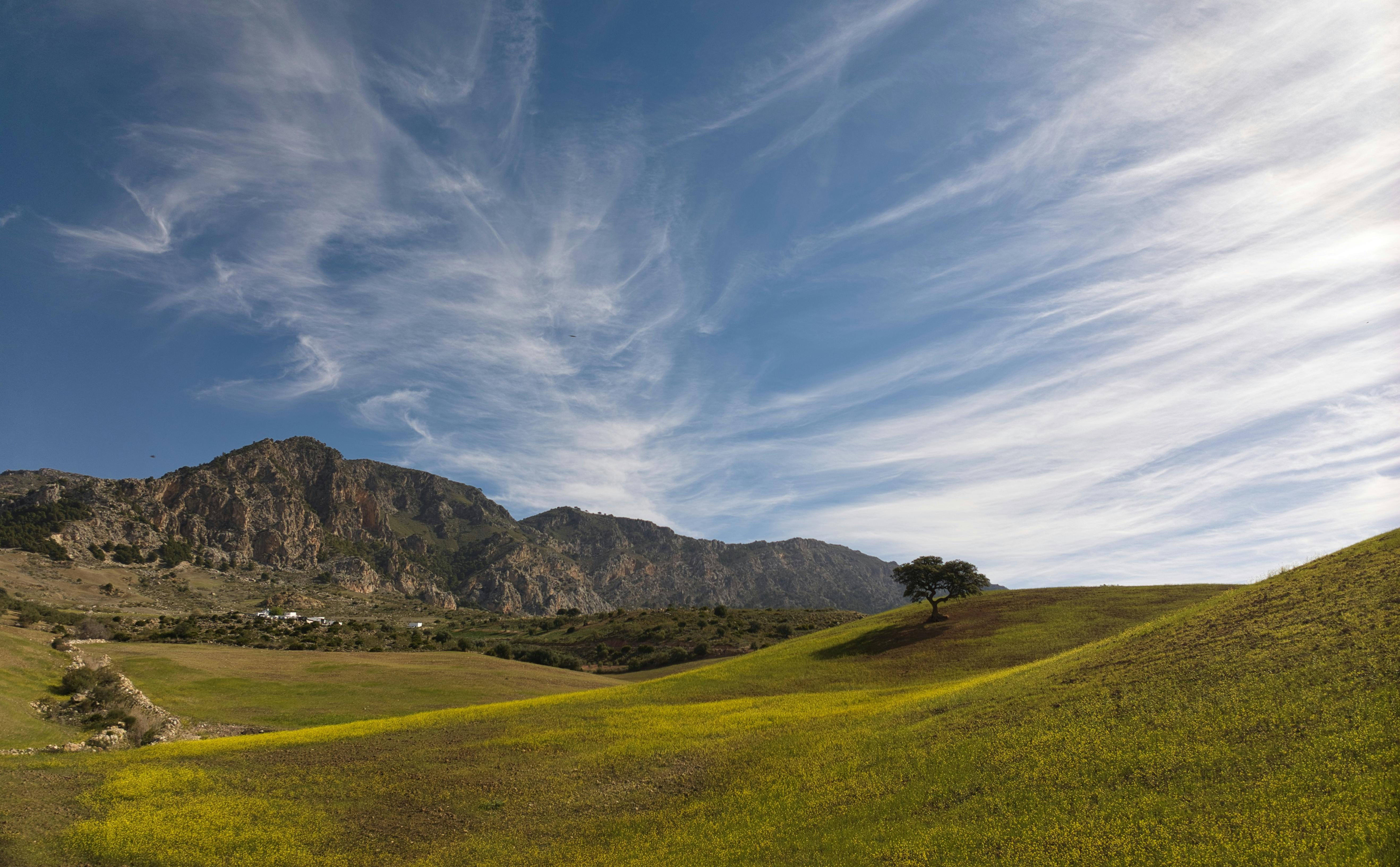Grassy Hills with Fields and Rocky Mountains · Free Stock Photo