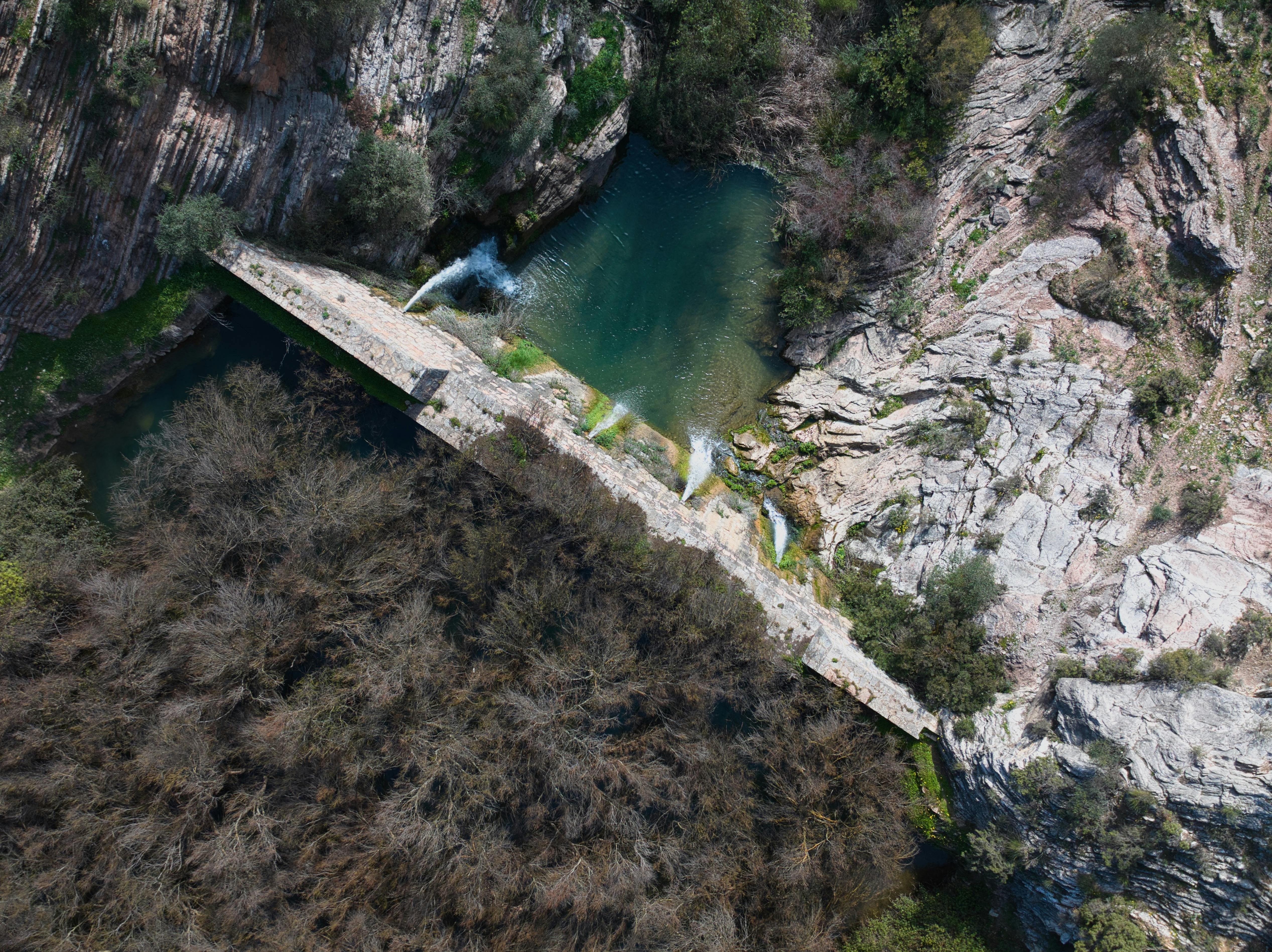 Birds Eye View of Forest and Dam on Lake · Free Stock Photo