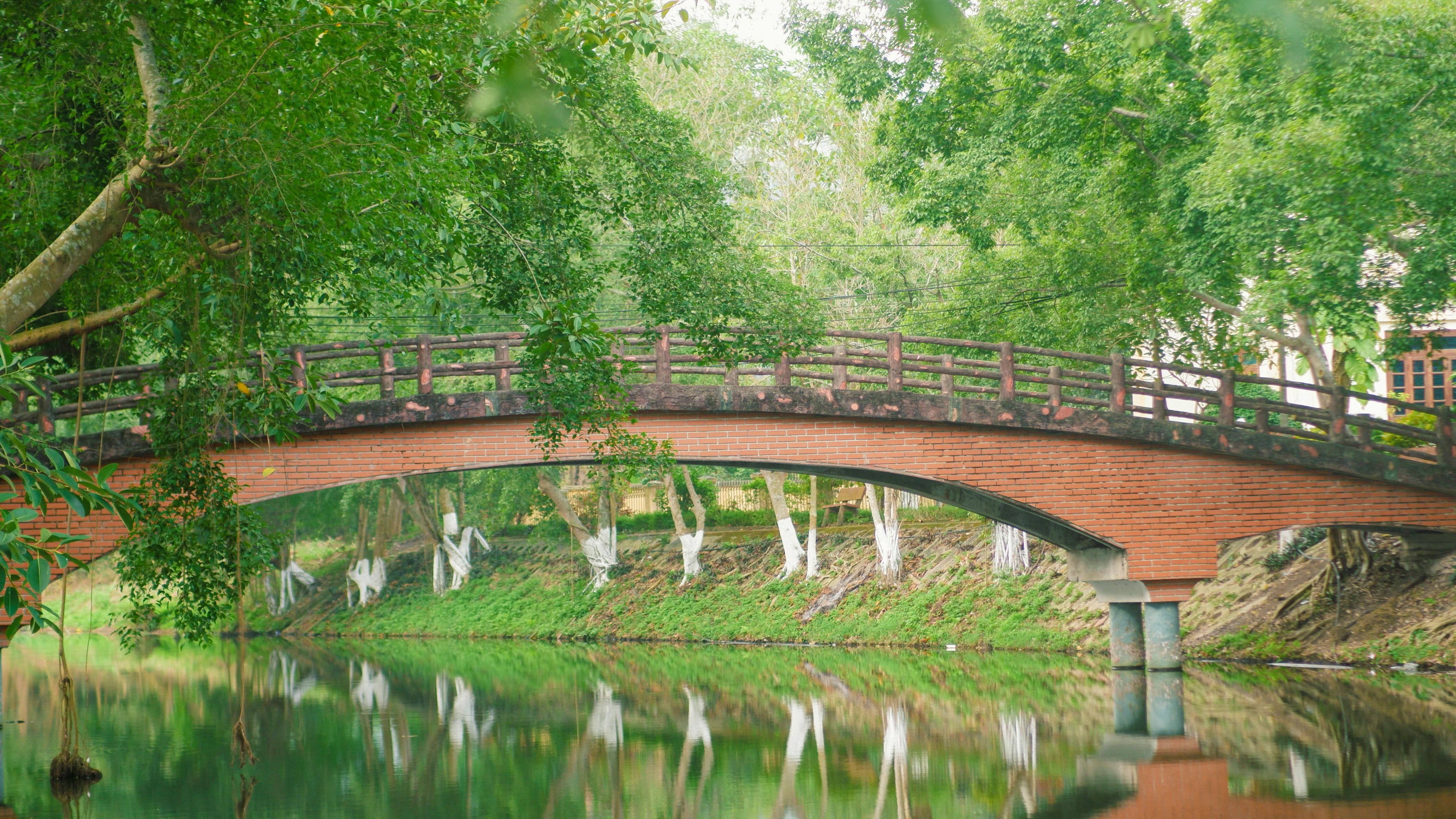 A bridge over a river with trees and water · Free Stock Photo