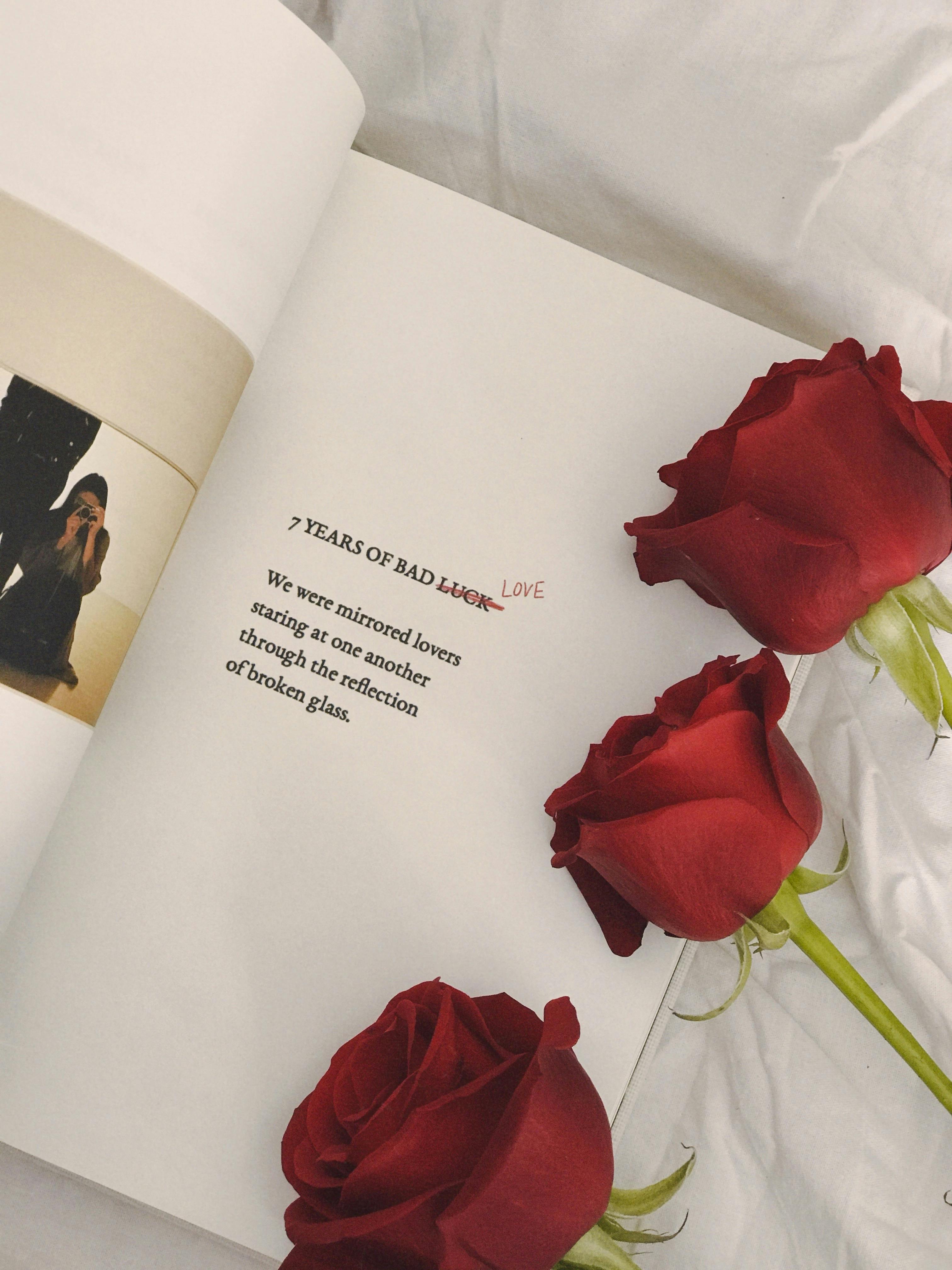Open Book with Love Poem and Red Roses Laid · Free Stock Photo