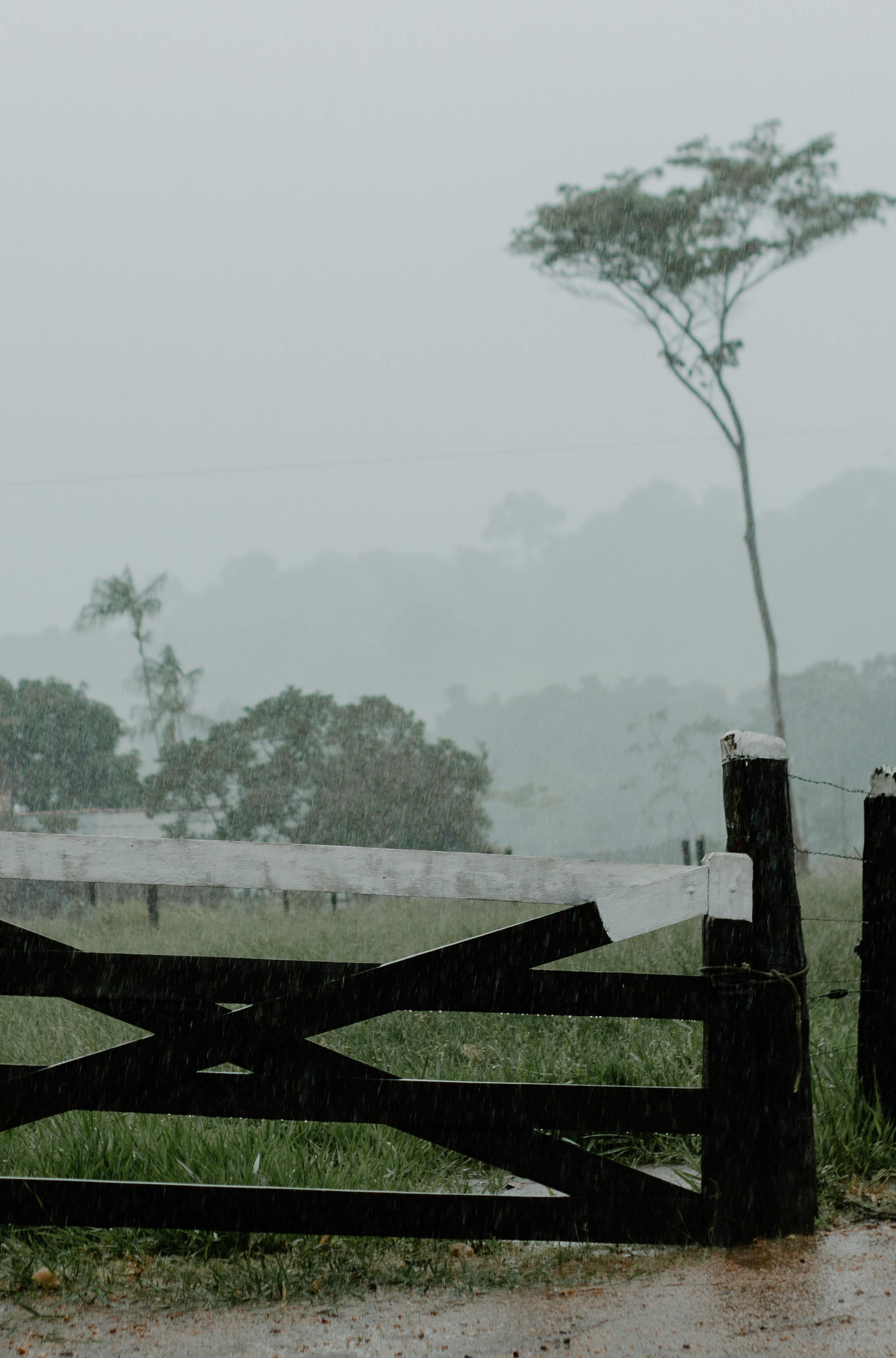 Wooden Gate of Enclosure on Farm in Rain · Free Stock Photo