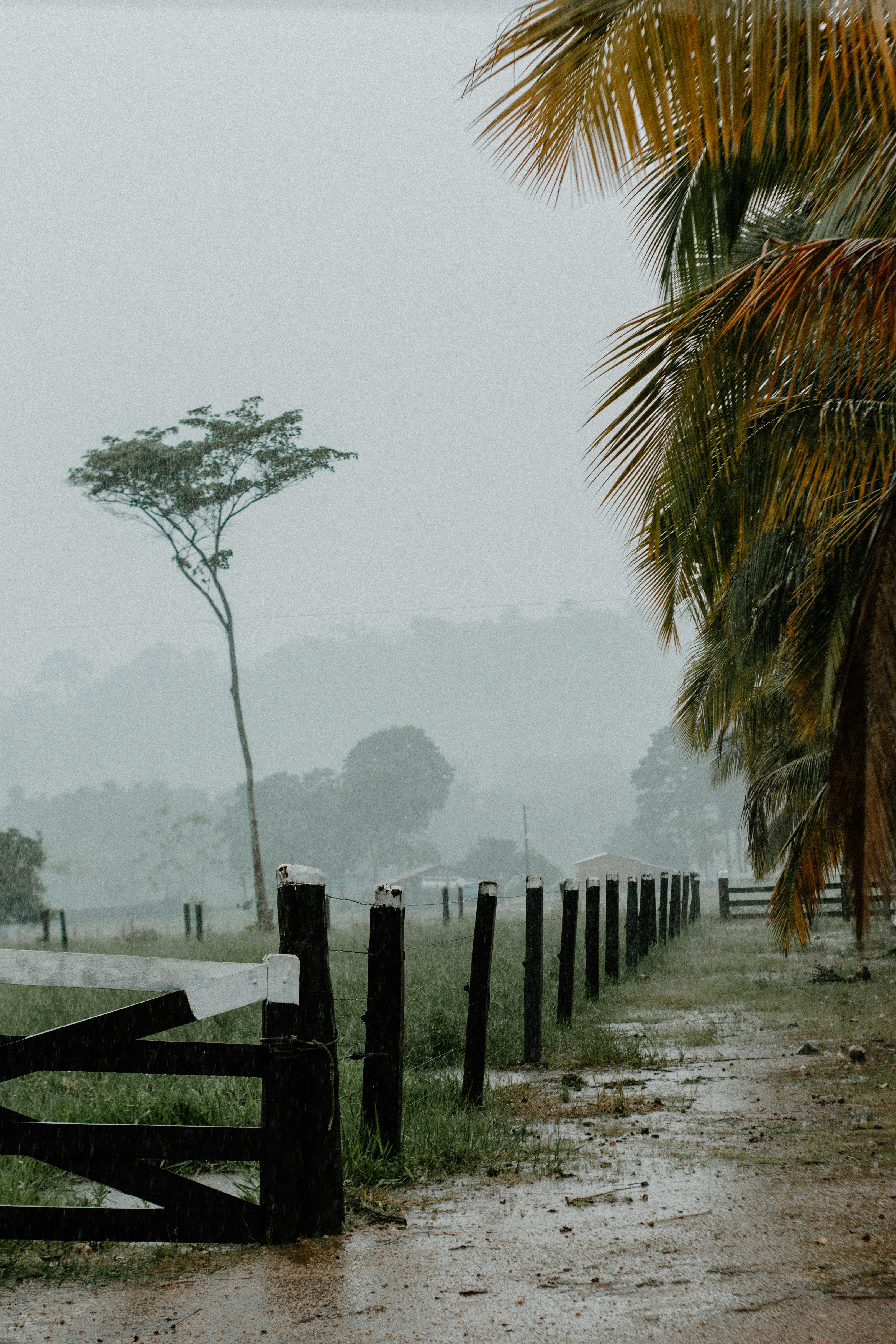 Raining Farm Photos, Download The BEST Free Raining Farm Stock Photos ...