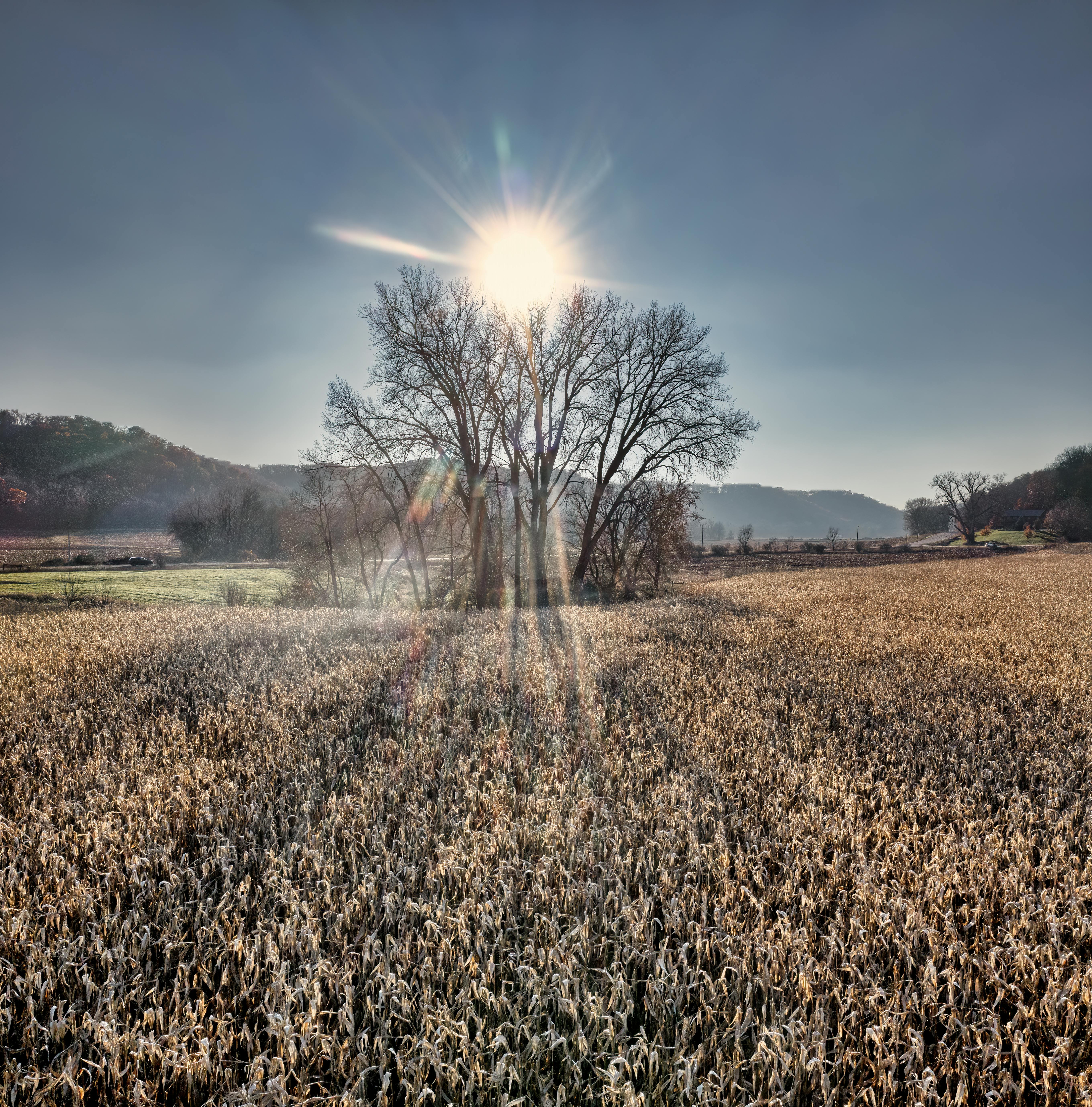 Sun Trees Photos, Download The BEST Free Sun Trees Stock Photos & HD Images