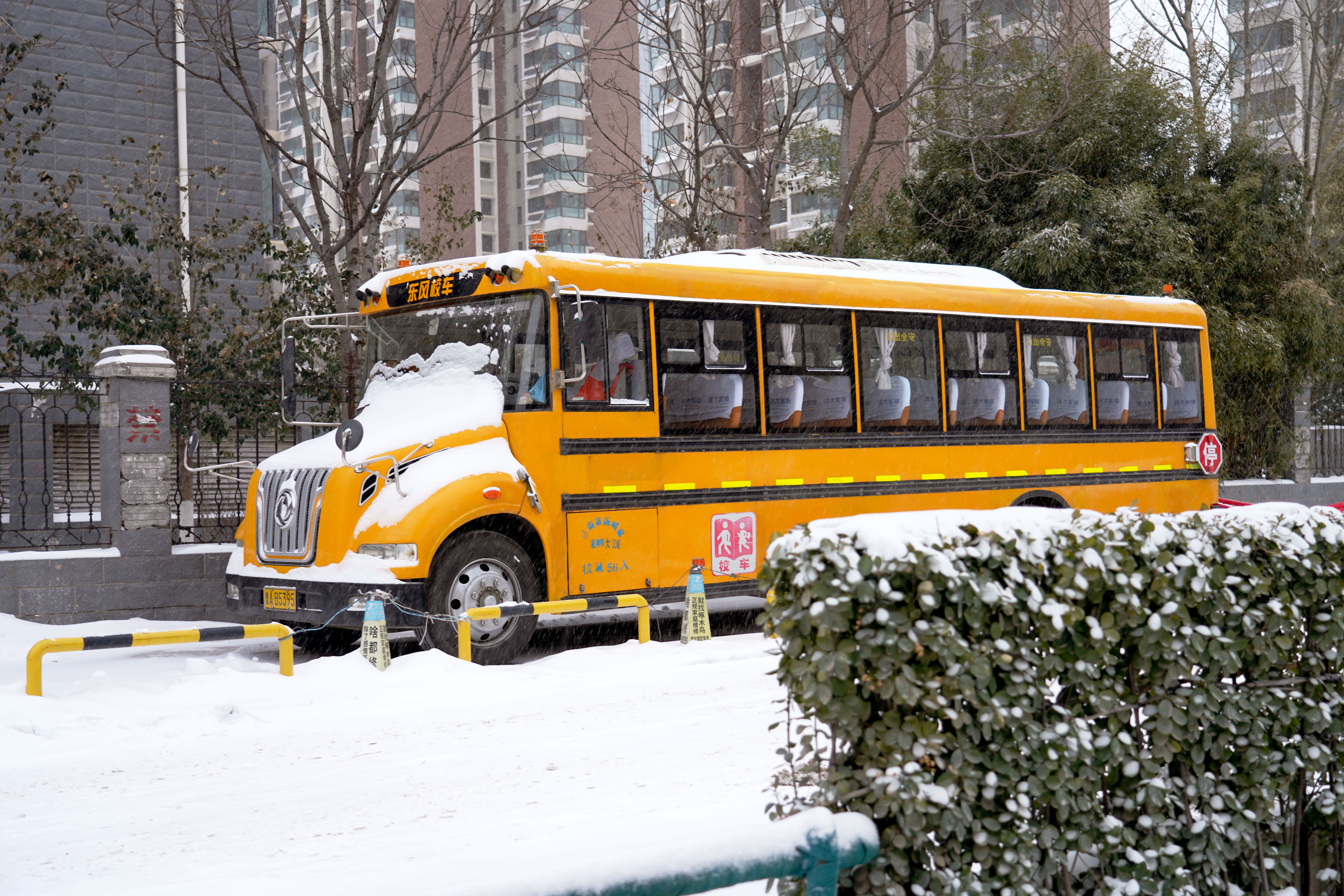 Ic+School+Bus Photos, Download The BEST Free Ic+School+Bus Stock Photos ...