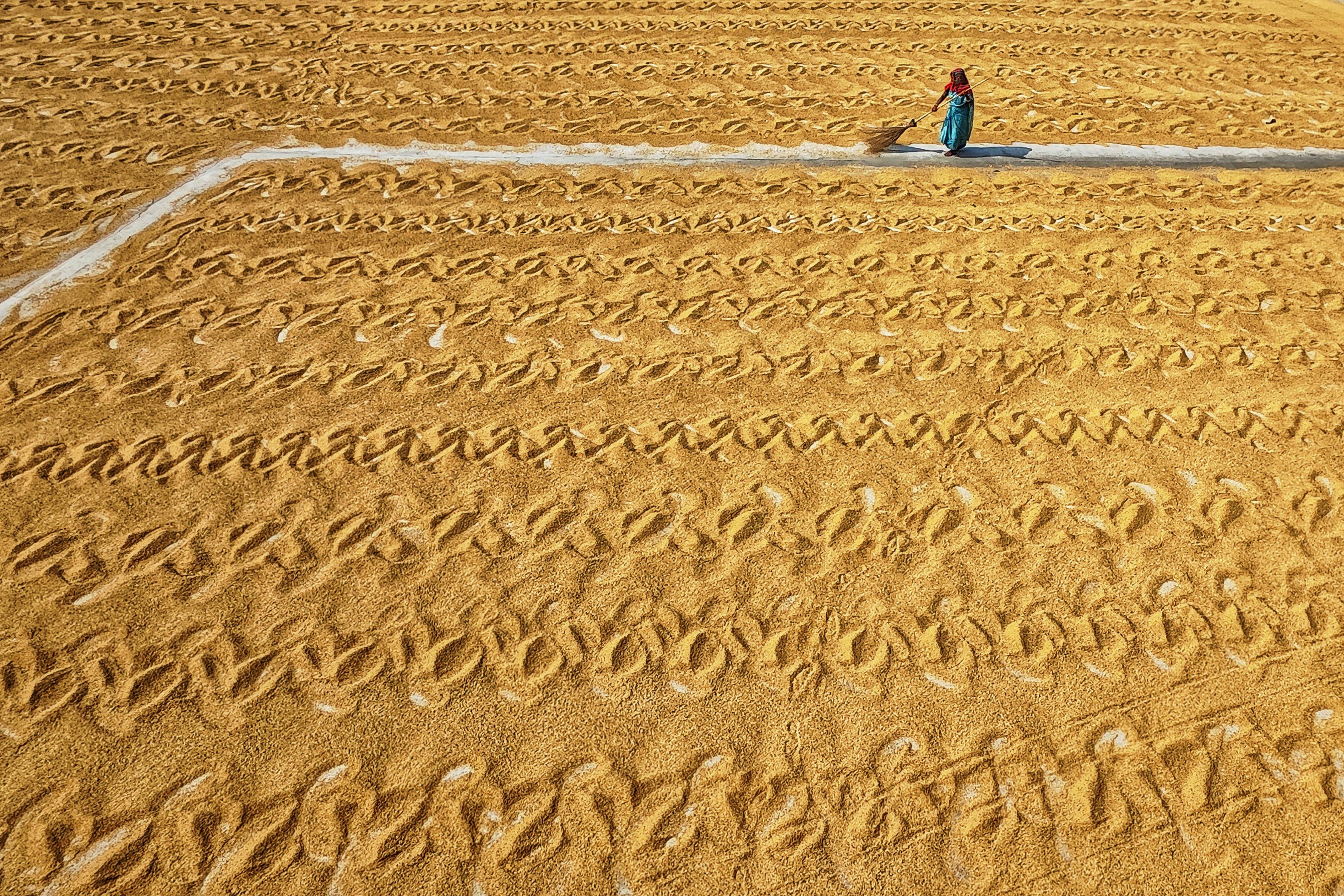 Golden carpet. · Free Stock Photo
