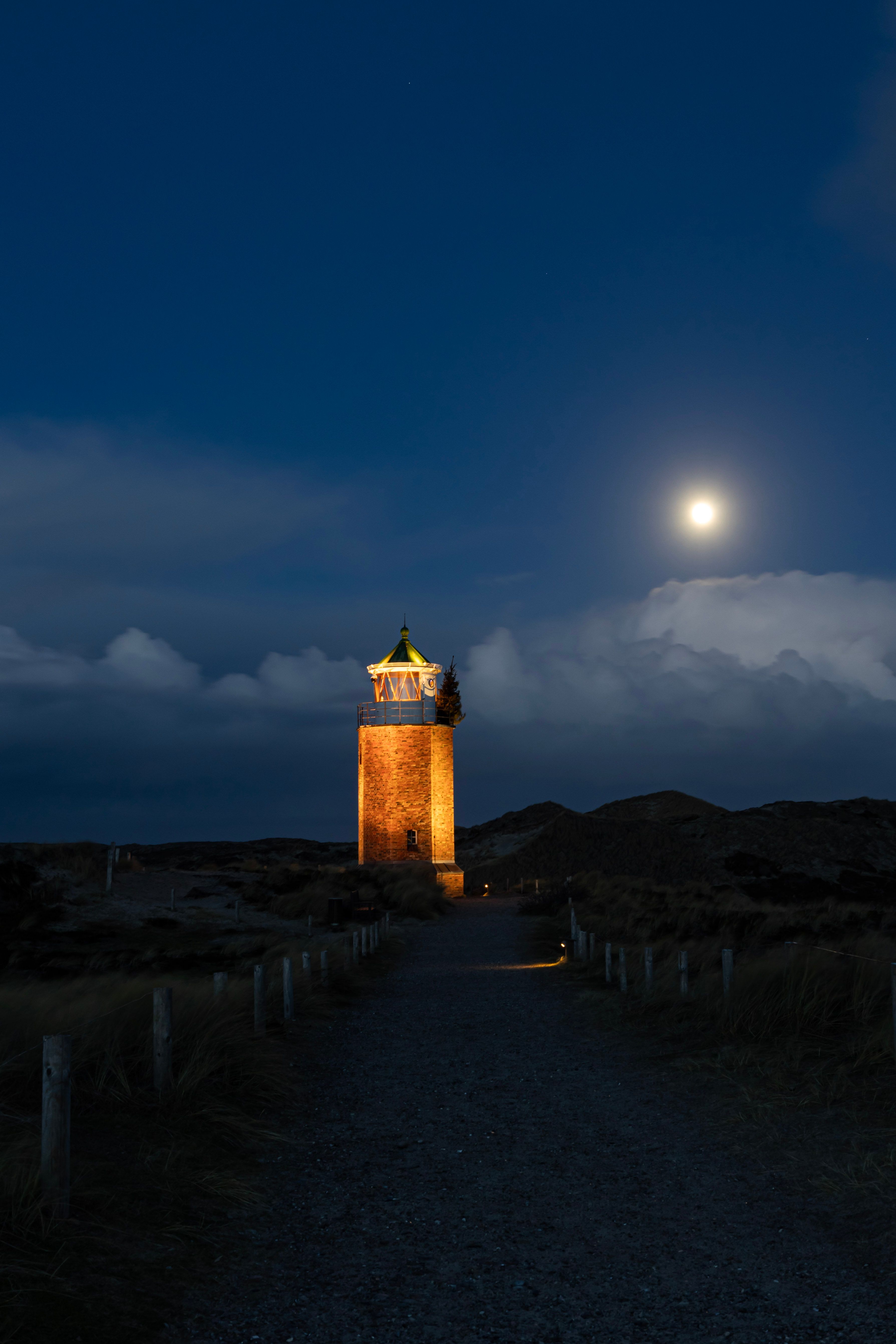 Joerg Mangelsen - Photography