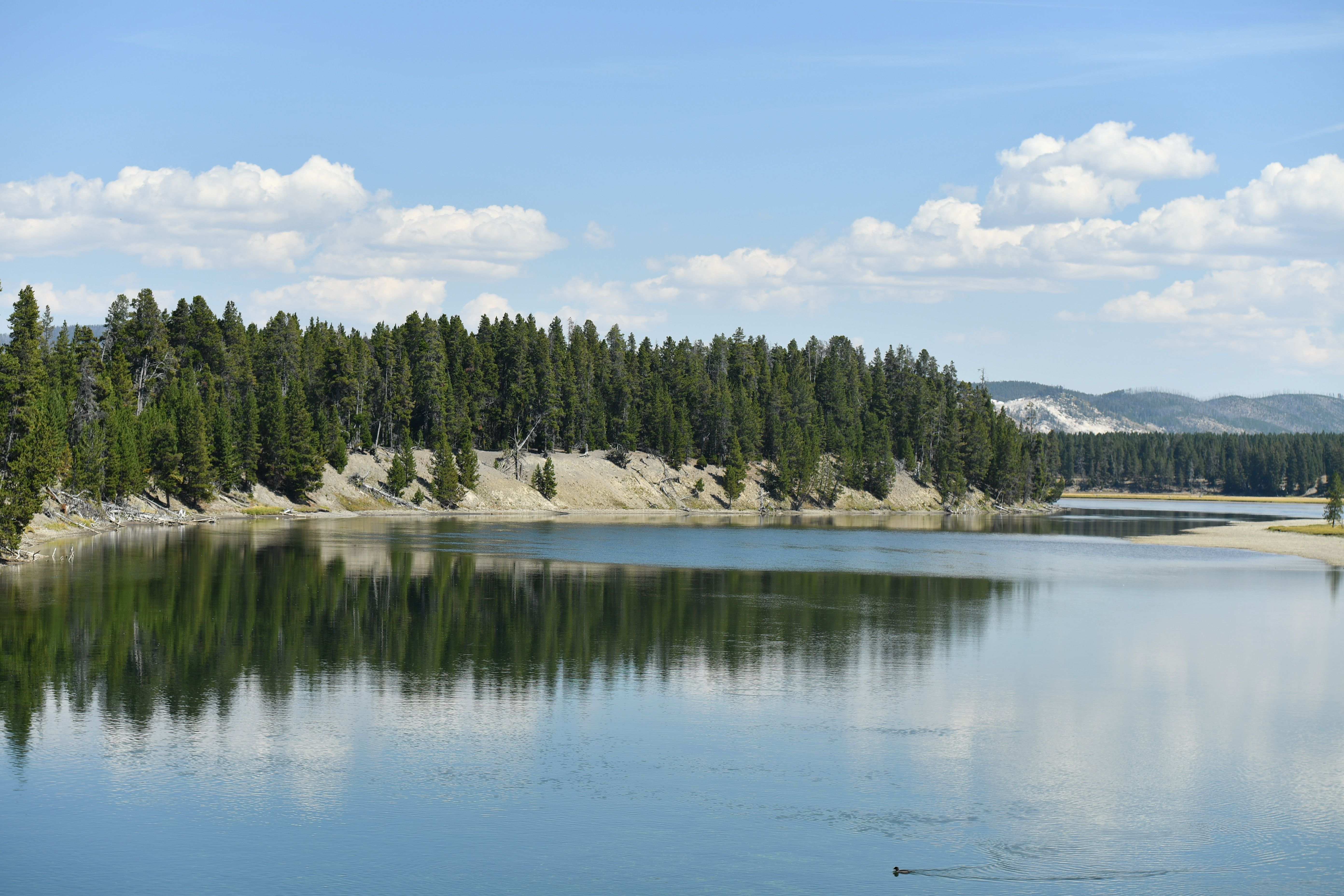A lake with a forested shoreline and trees · Free Stock Photo
