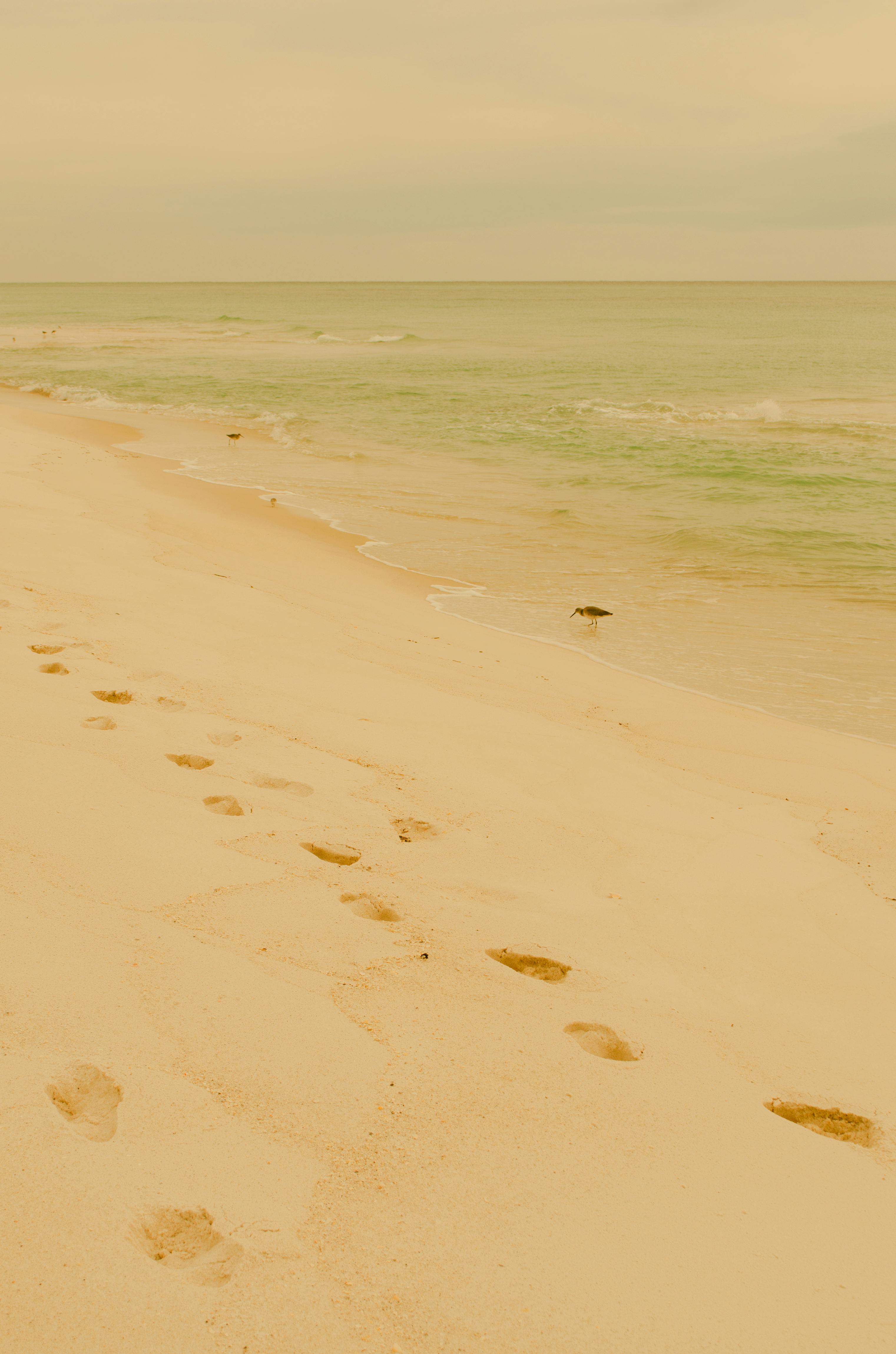 Whose Footprints Are These Photos, Download The BEST Free Whose ...