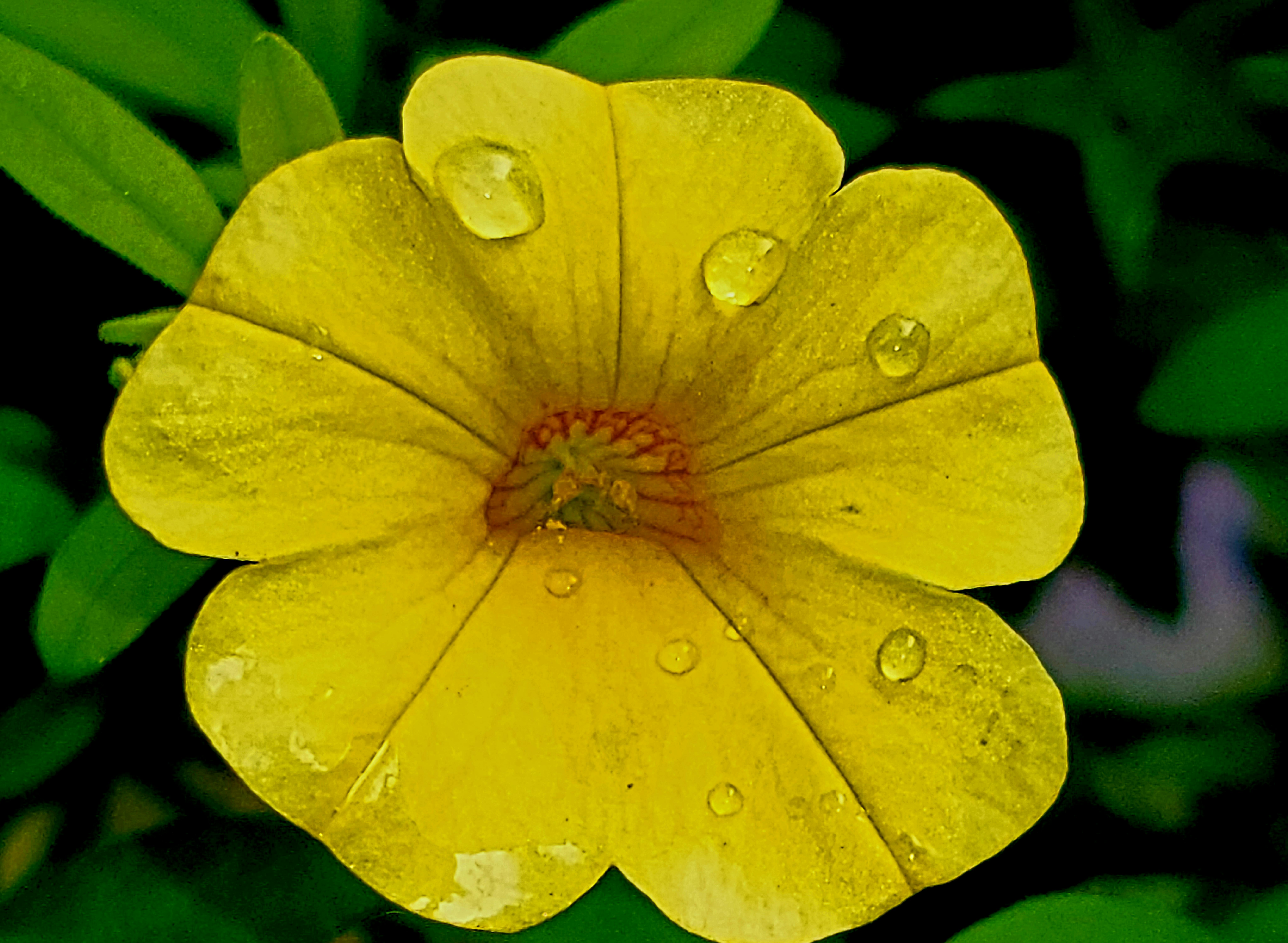 Bud Jenkins - 写真