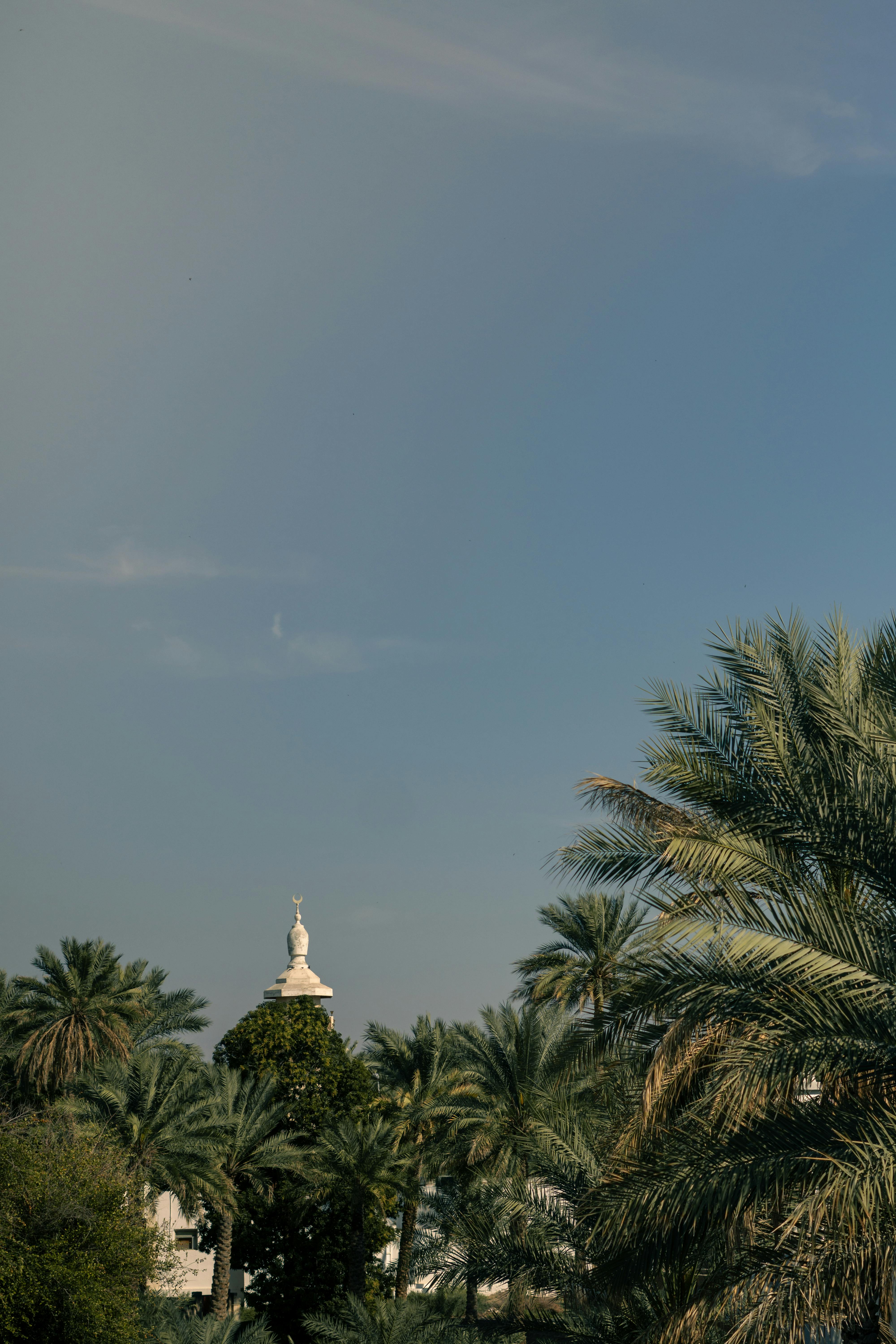 Asaad Alabri - Photography