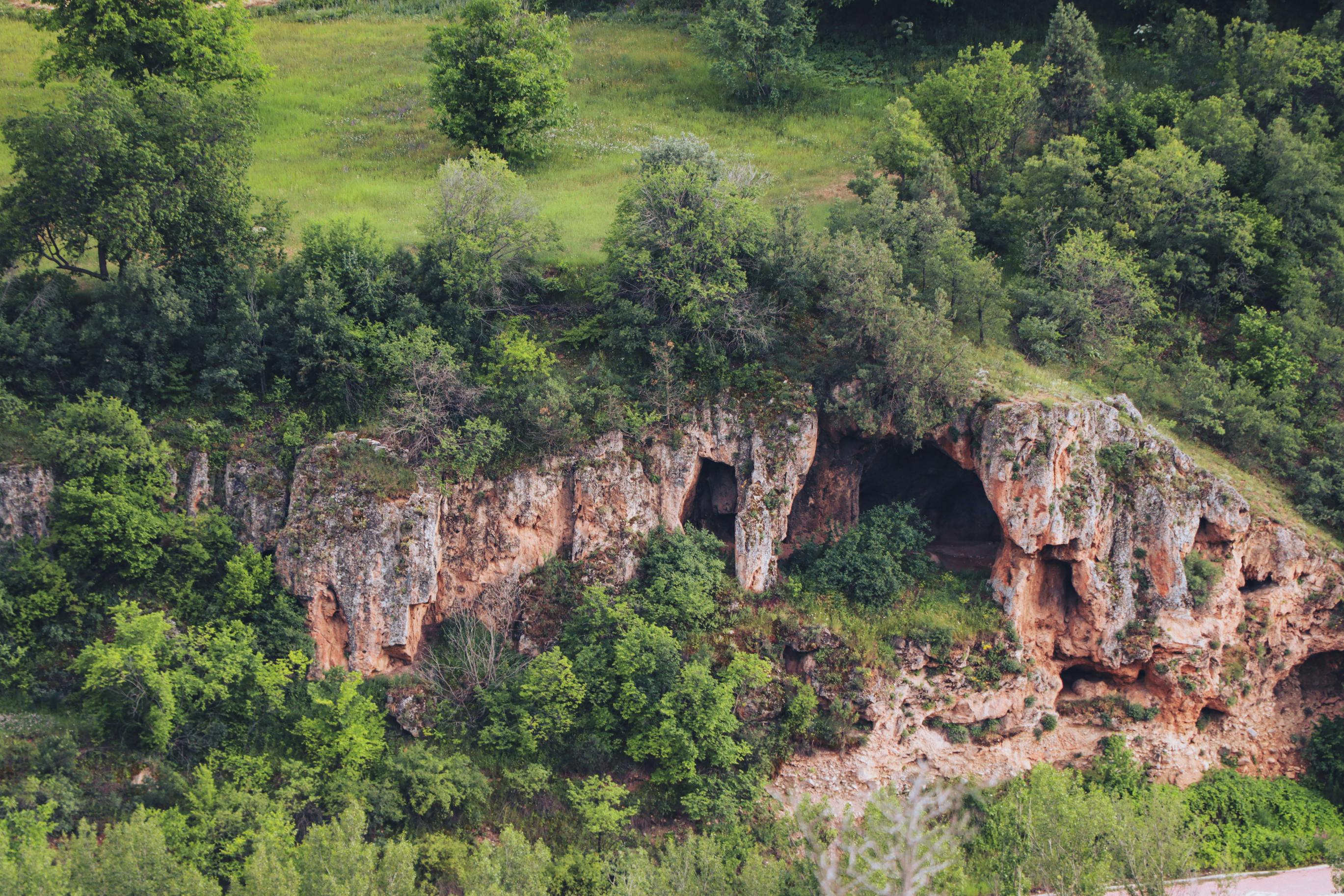 Forest Trees around Rocks and Cave on Hill · Free Stock Photo