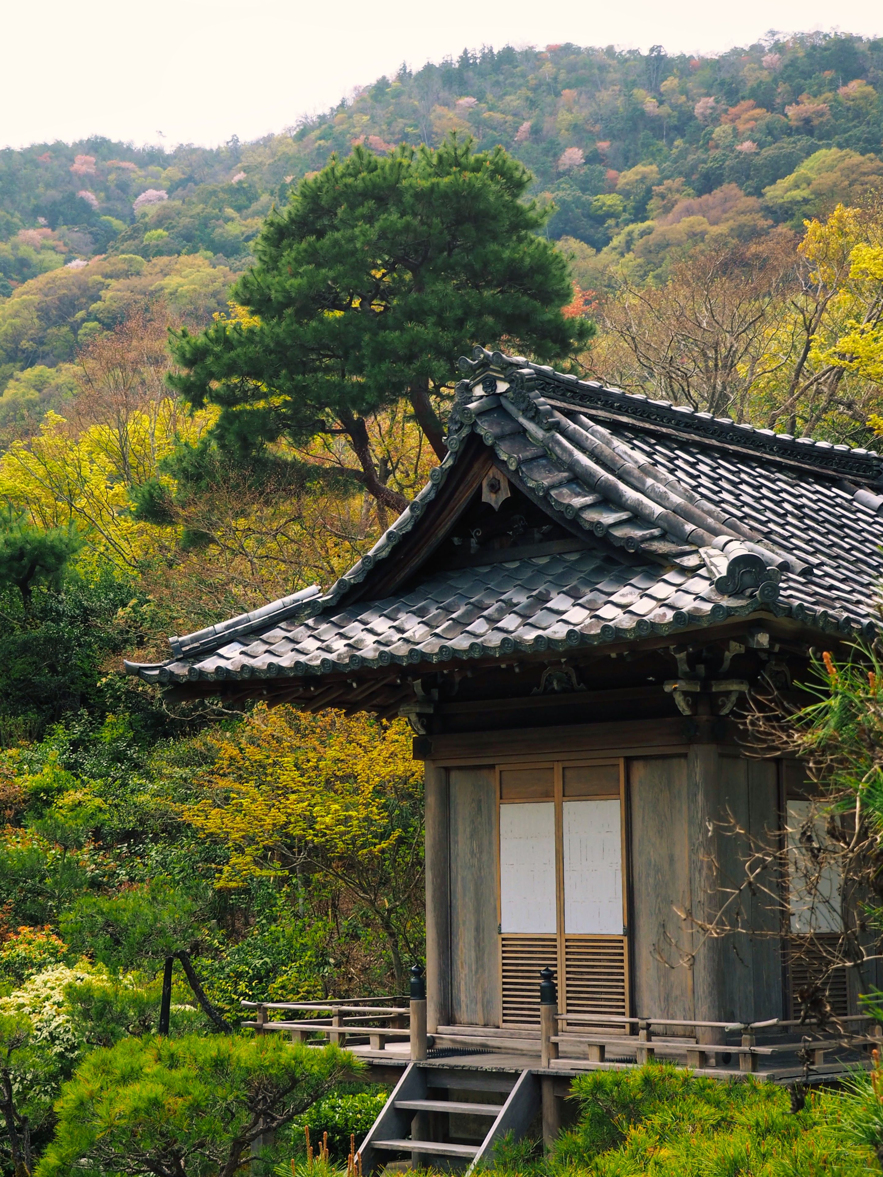 A japanese house with a wooden roof and a green hill · Free Stock Photo