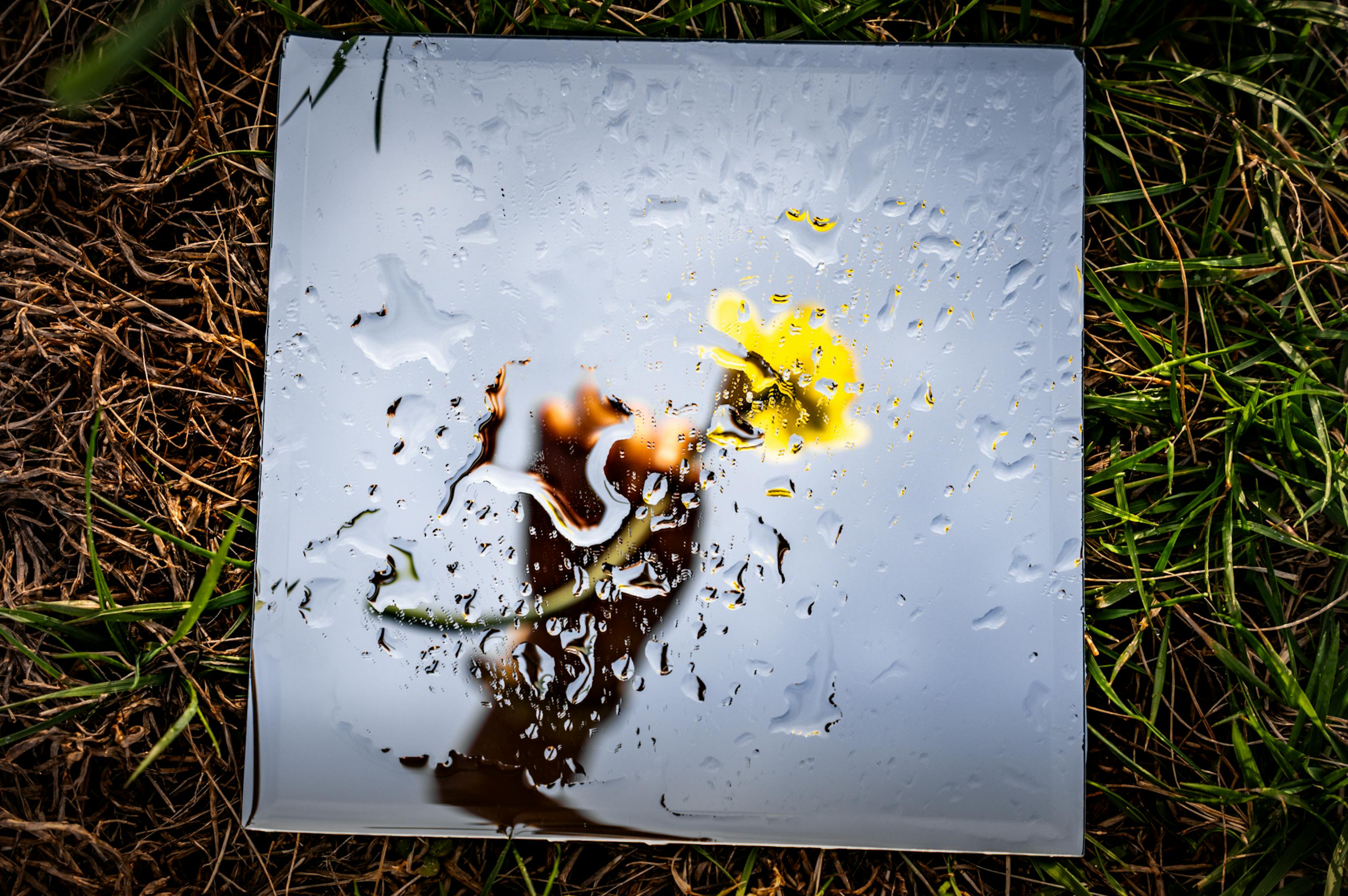 Paper Drop Photos, Download The BEST Free Paper Drop Stock Photos & HD ...