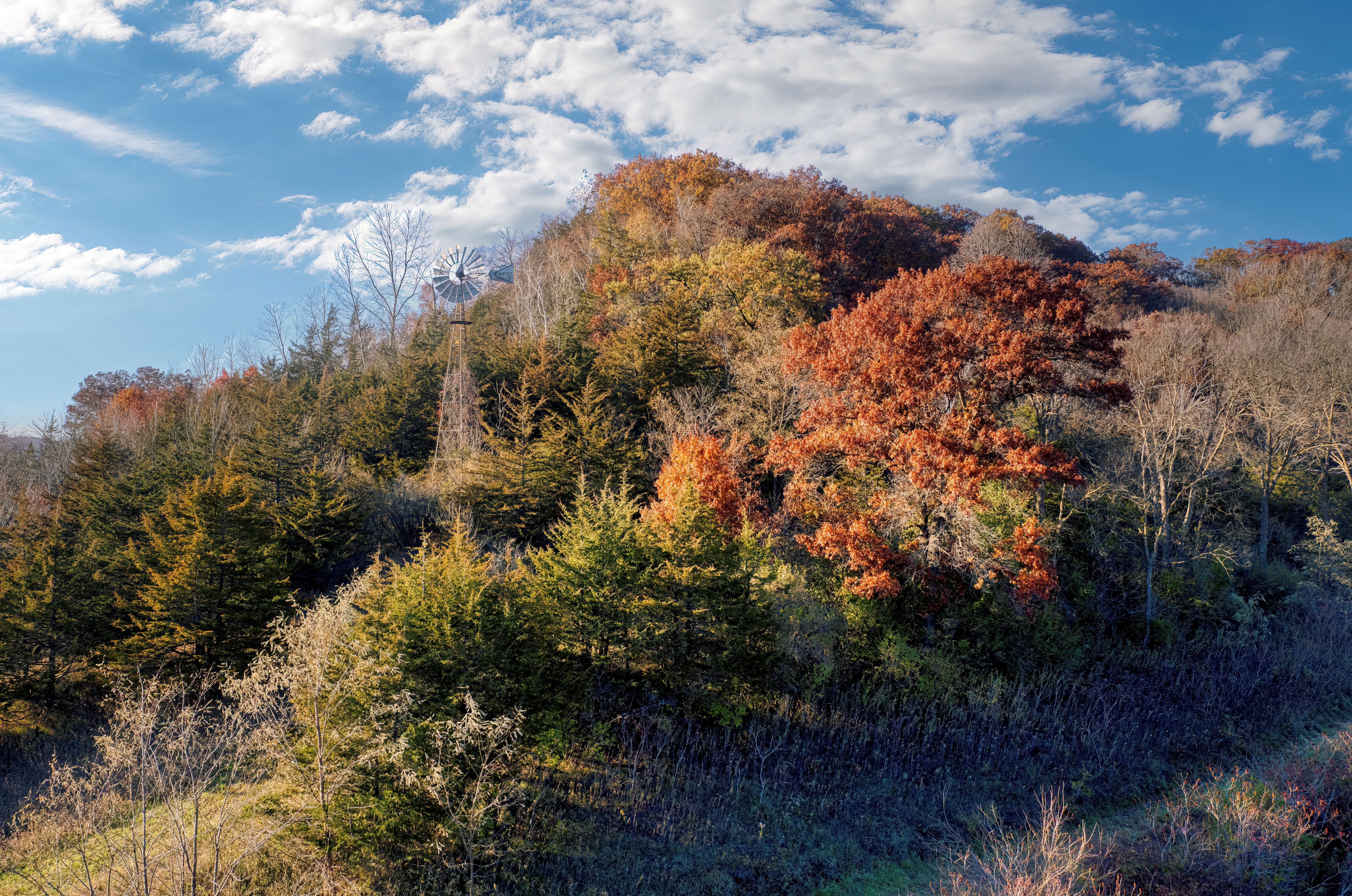 A hillside with trees and grass in the fall · Free Stock Photo
