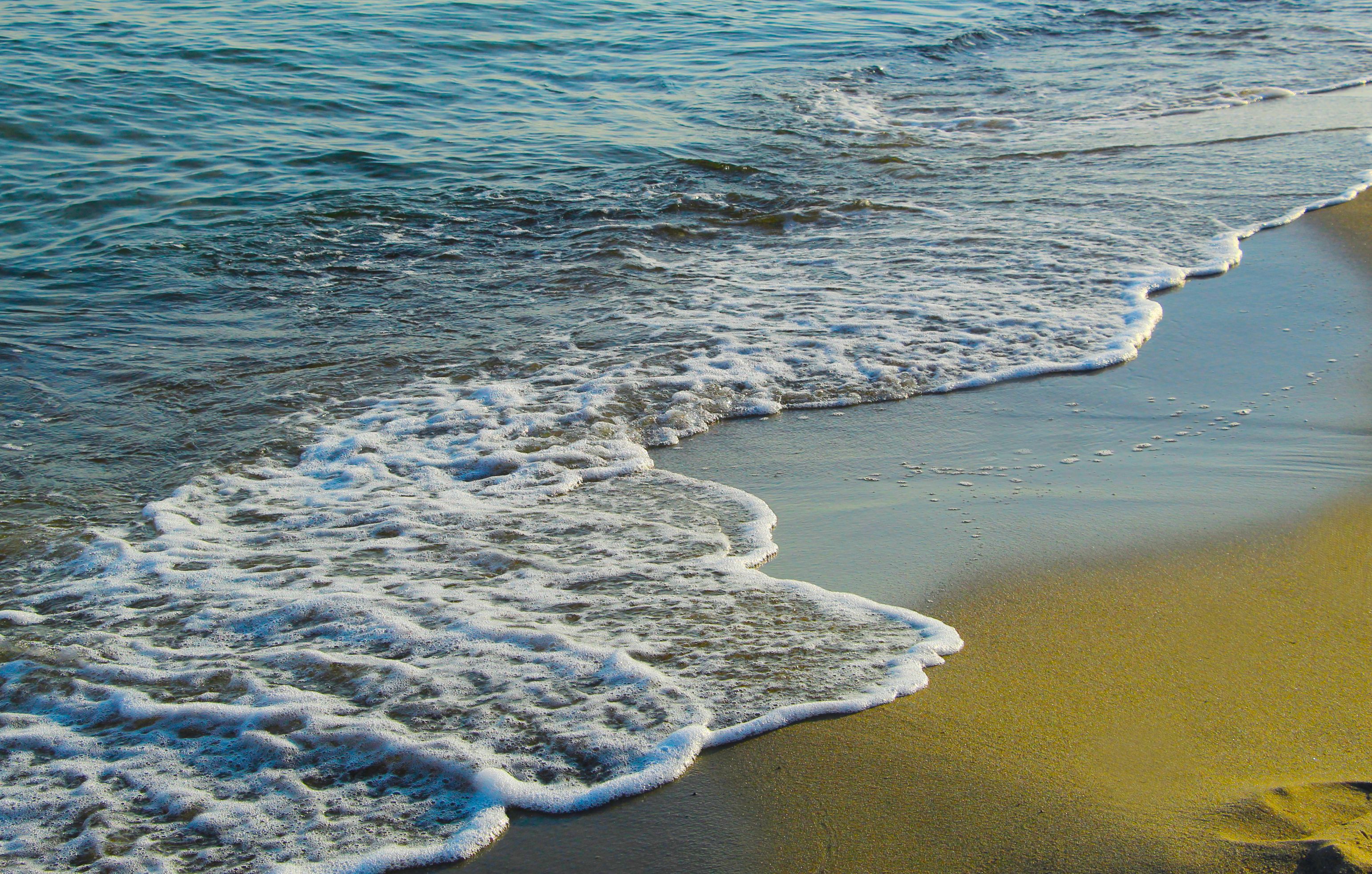 Shallow Water on Sea Shore · Free Stock Photo