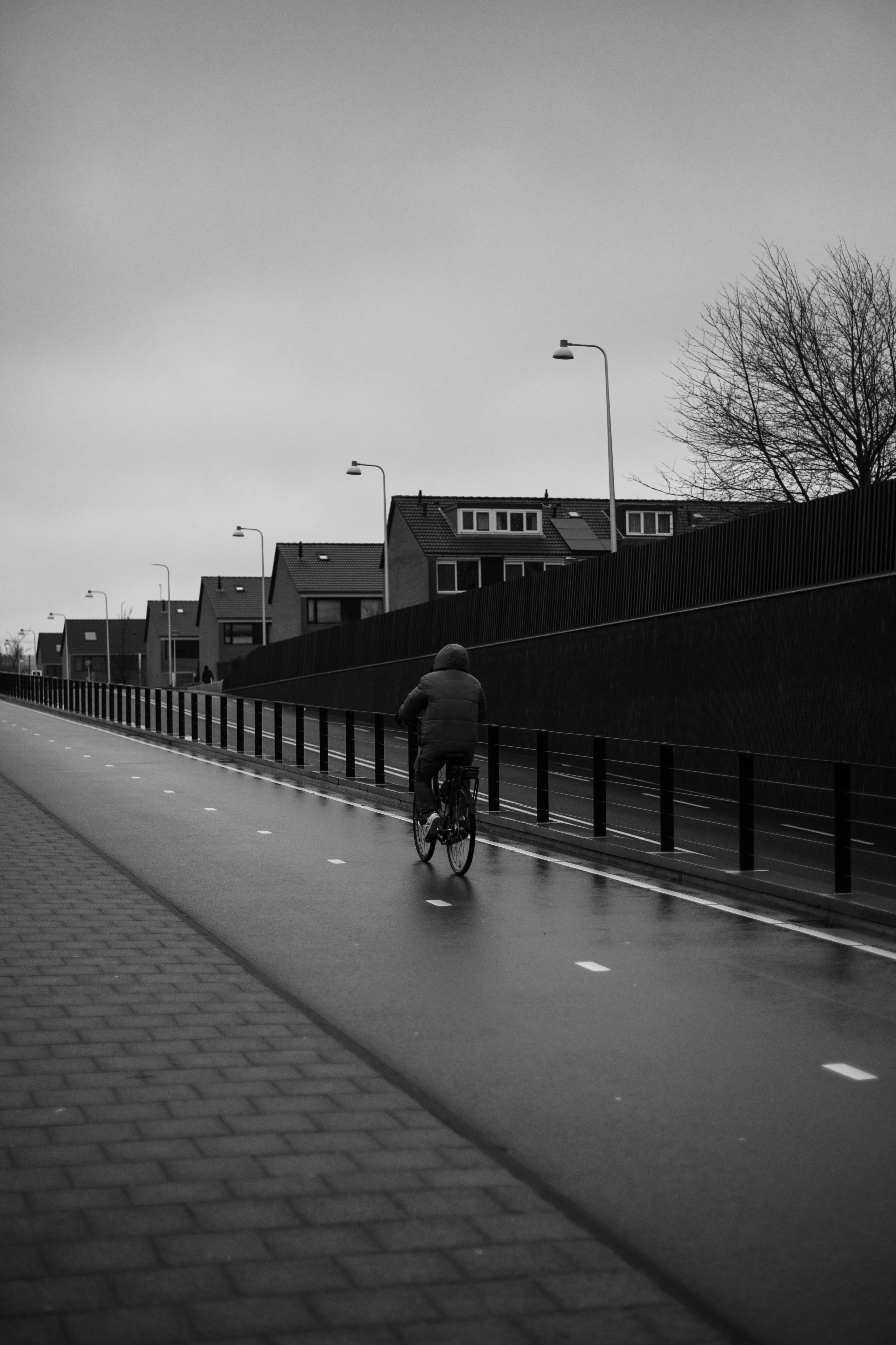 Ig Photos, Download The BEST Free Ig Stock Photos & HD Images