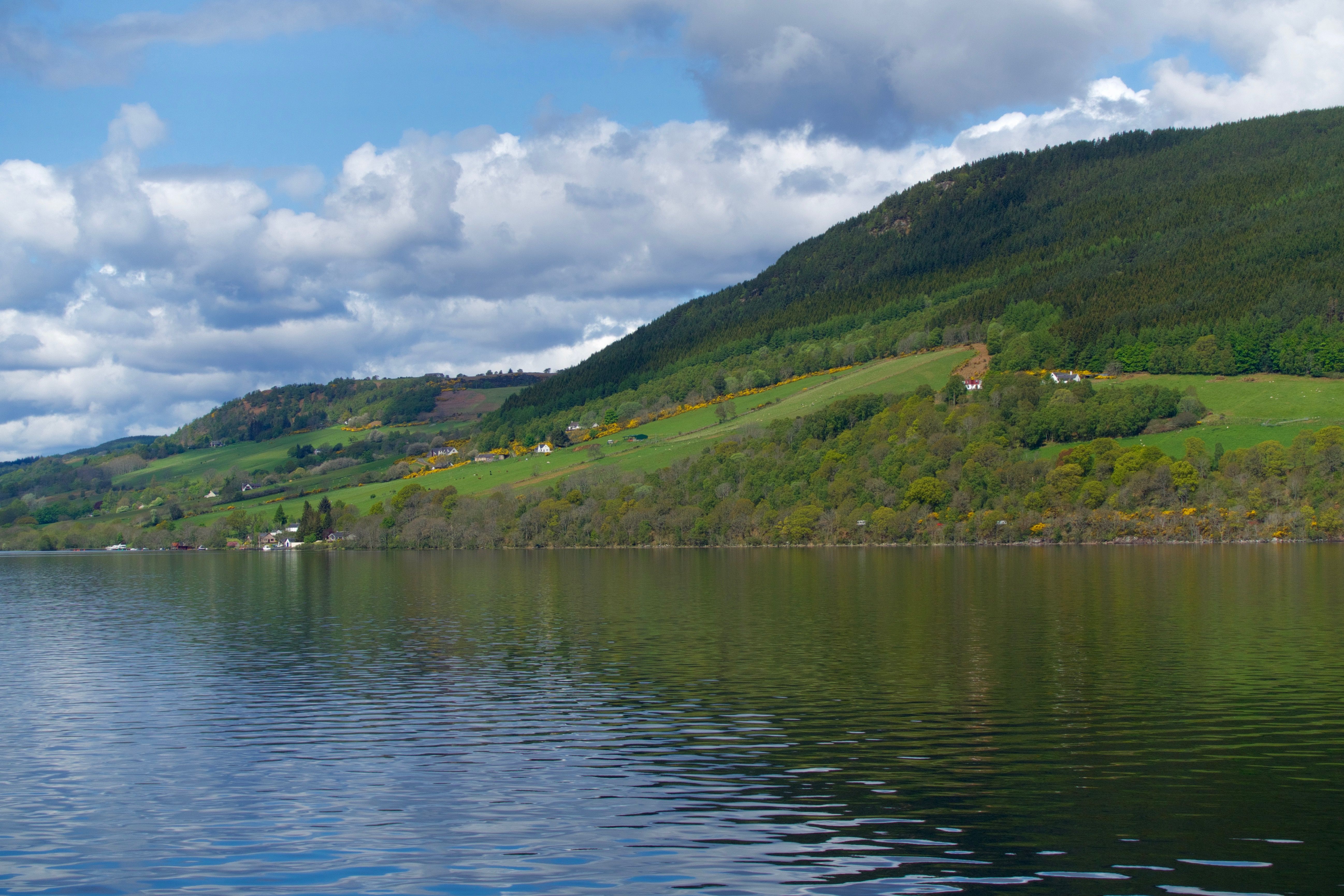 Free stock photo of lake, loch ness, nature