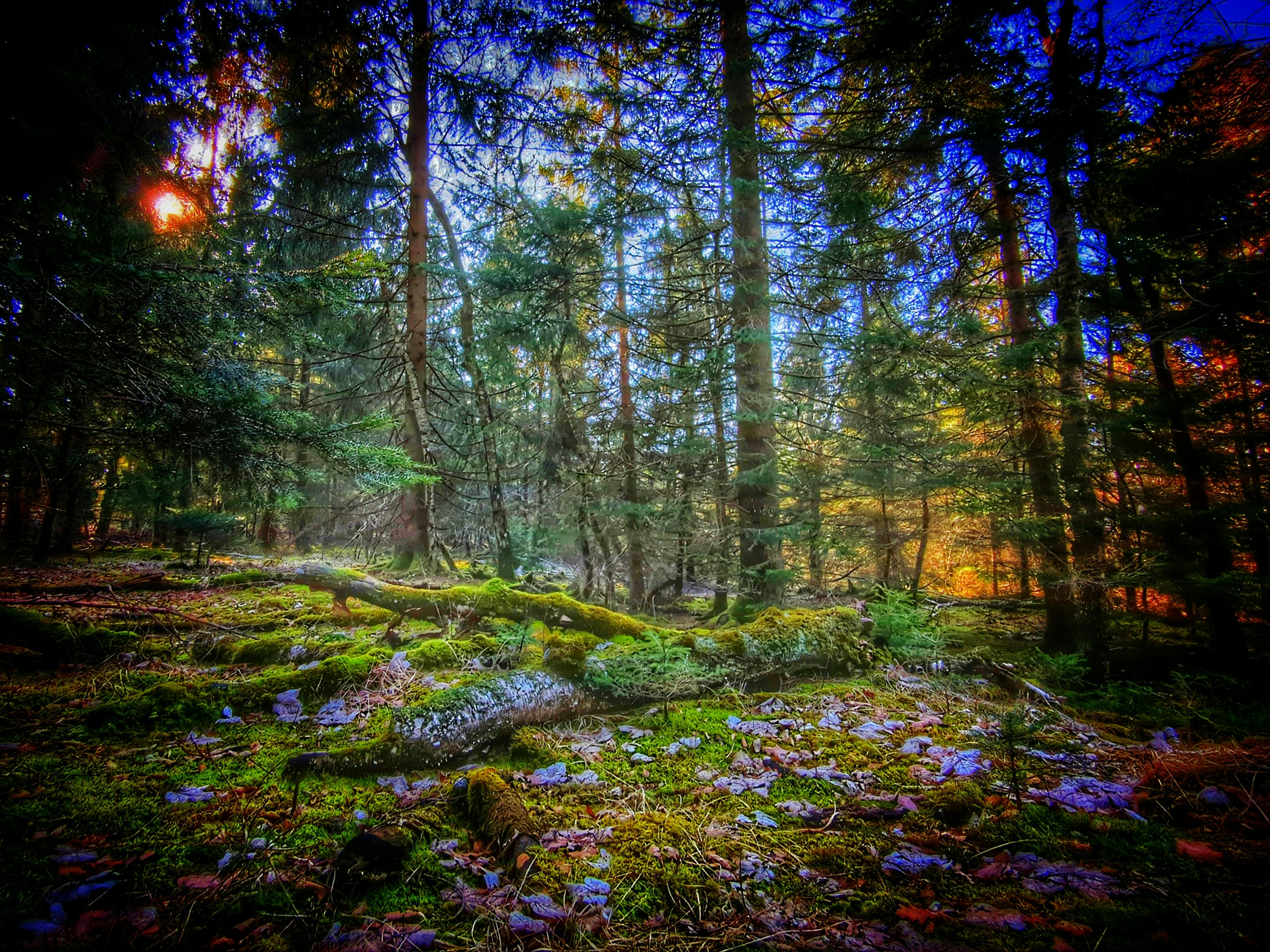 Matthias Fiesel - Photography