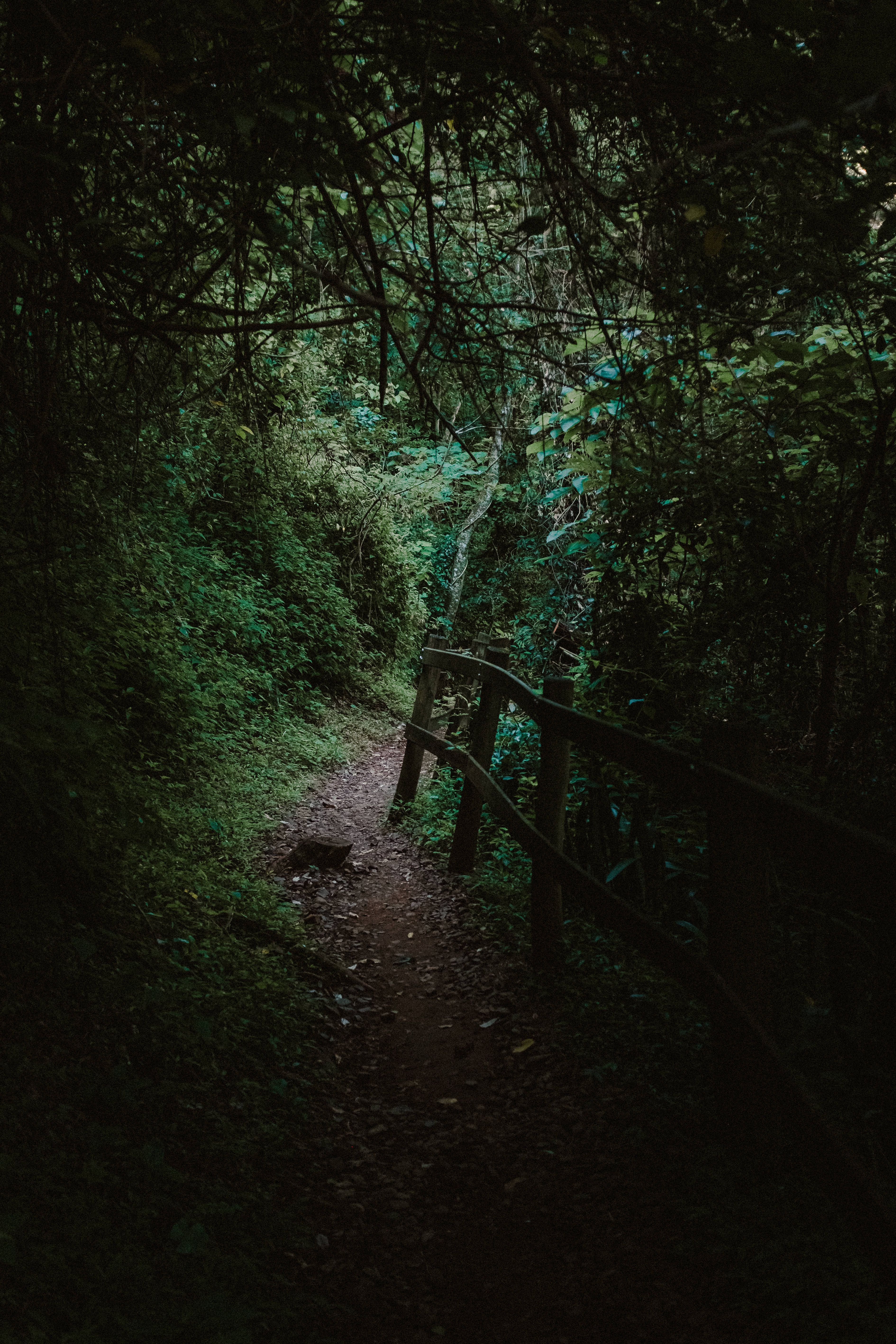 300.000+ melhores imagens de Bland Nature · Download 100% grátis ...