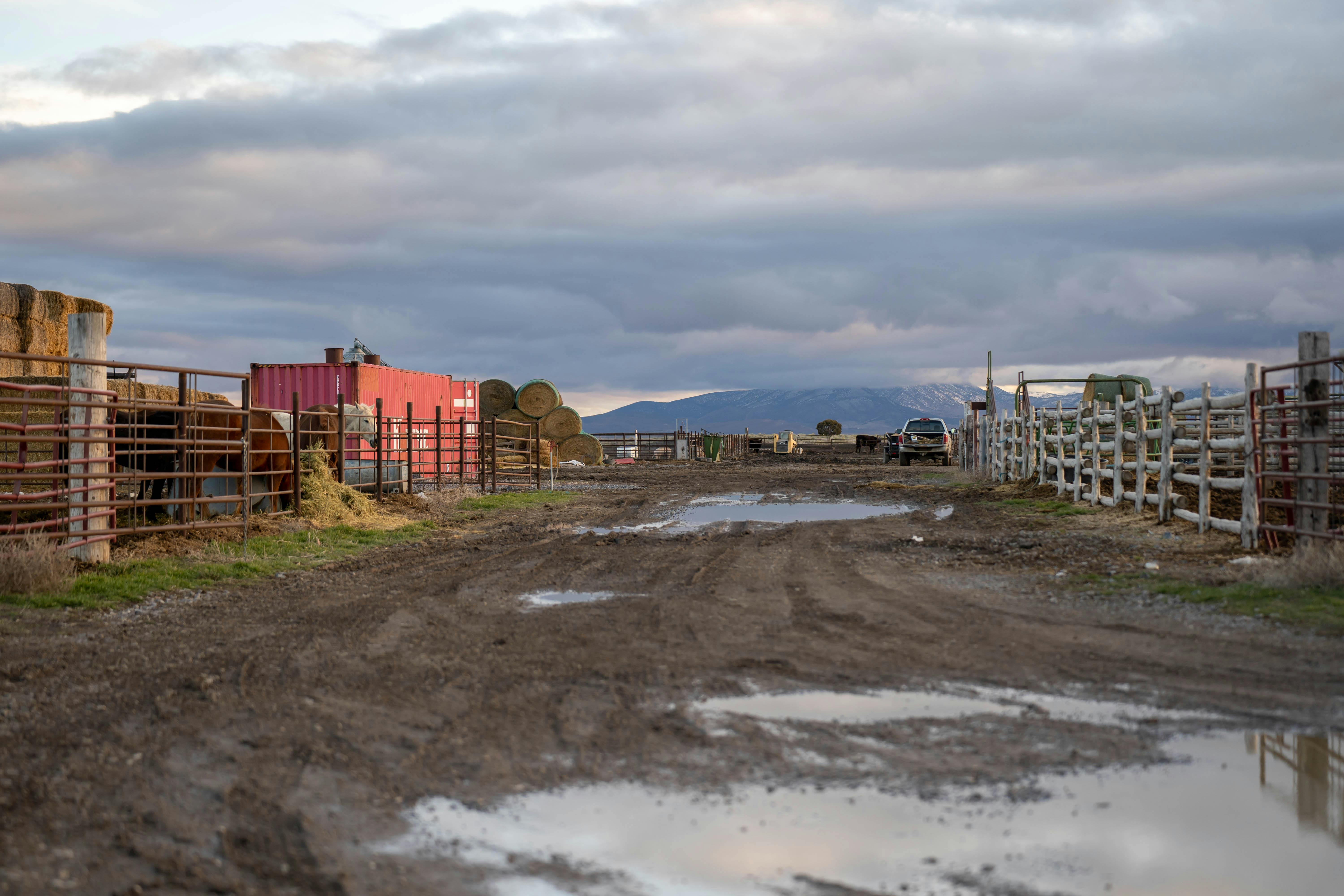 Dirt Road with Puddles on Farm · Free Stock Photo