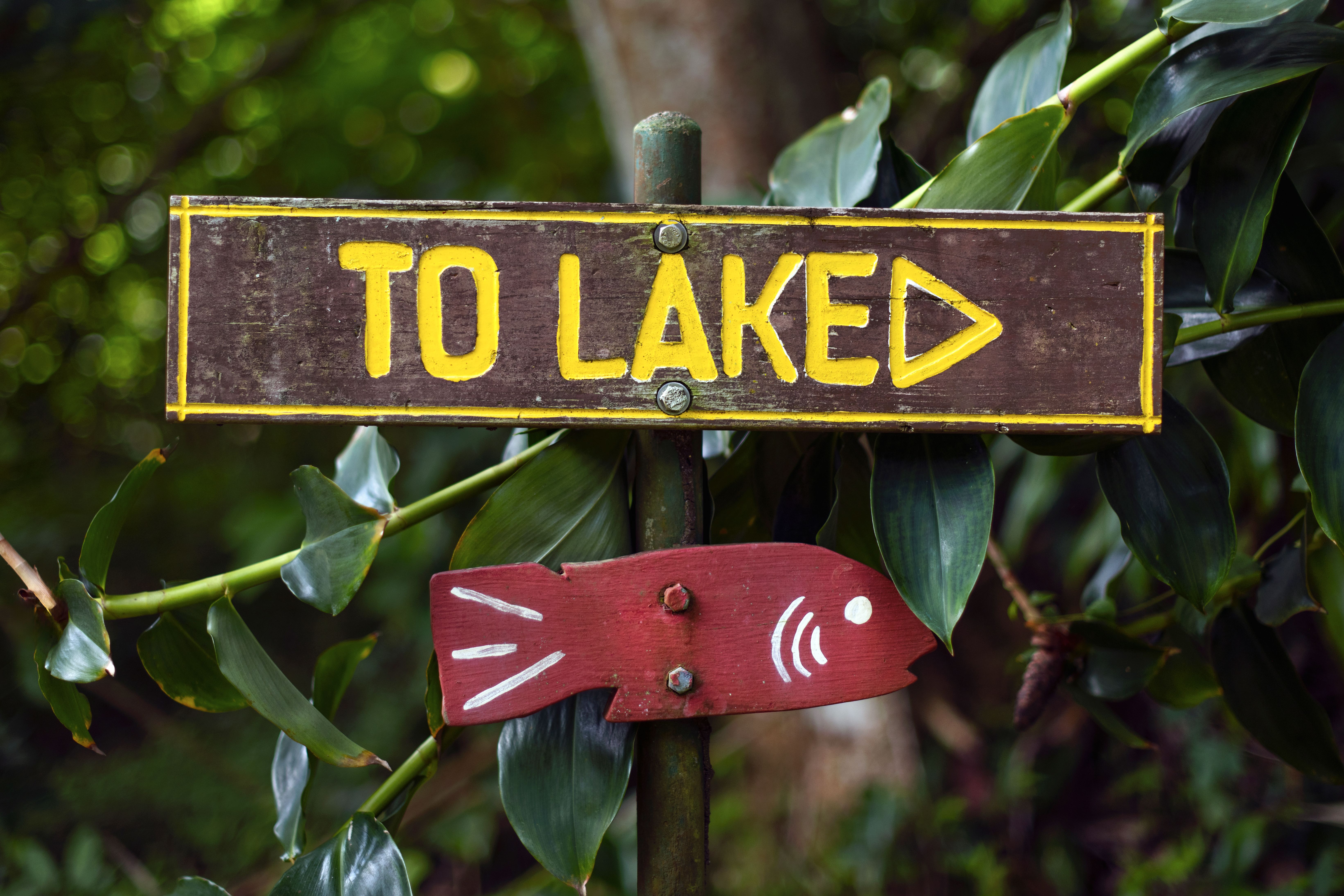 Directional Sign to Lake · Free Stock Photo