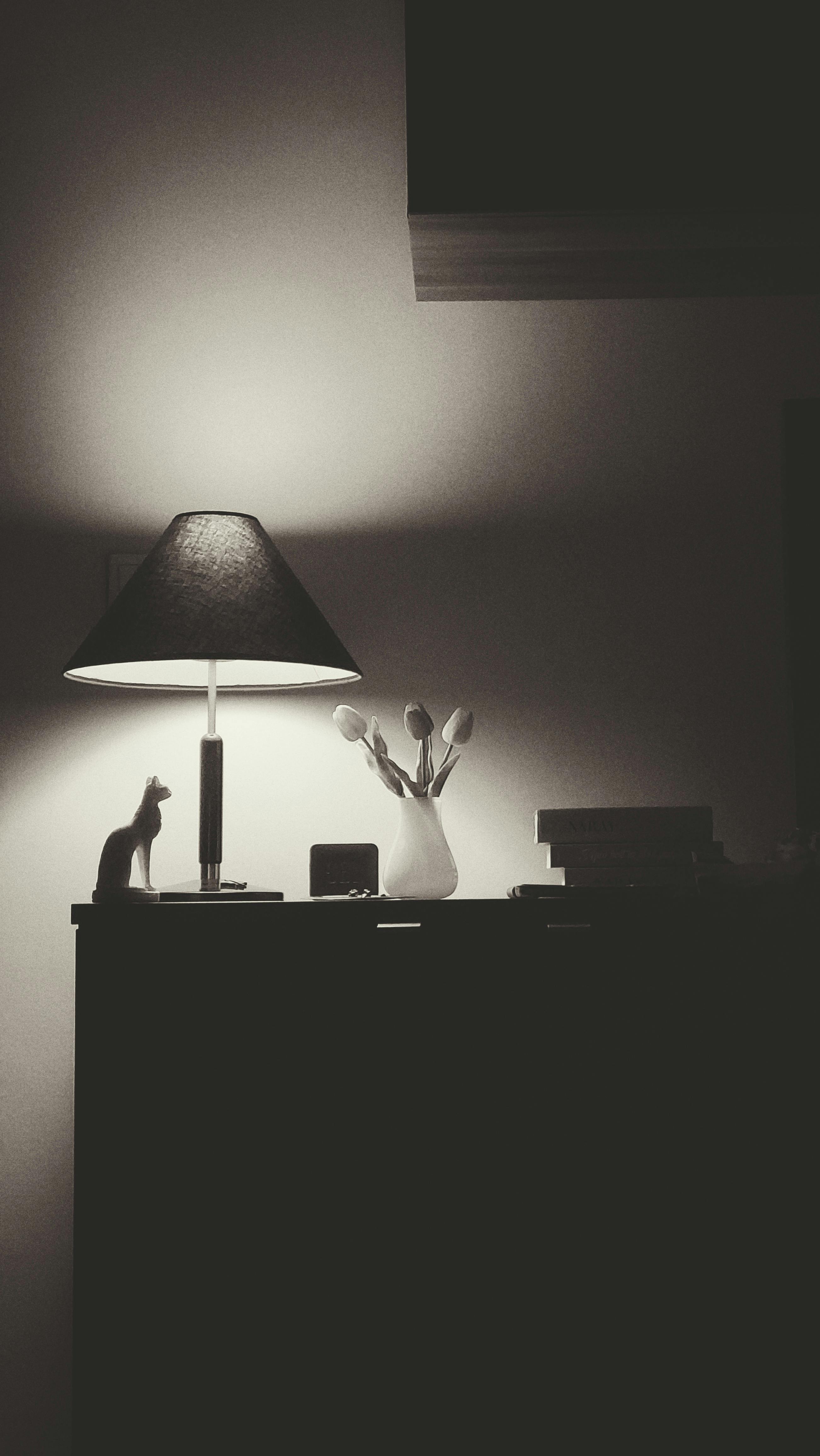 Reposer Photos, Download The BEST Free Reposer Stock Photos & HD Images