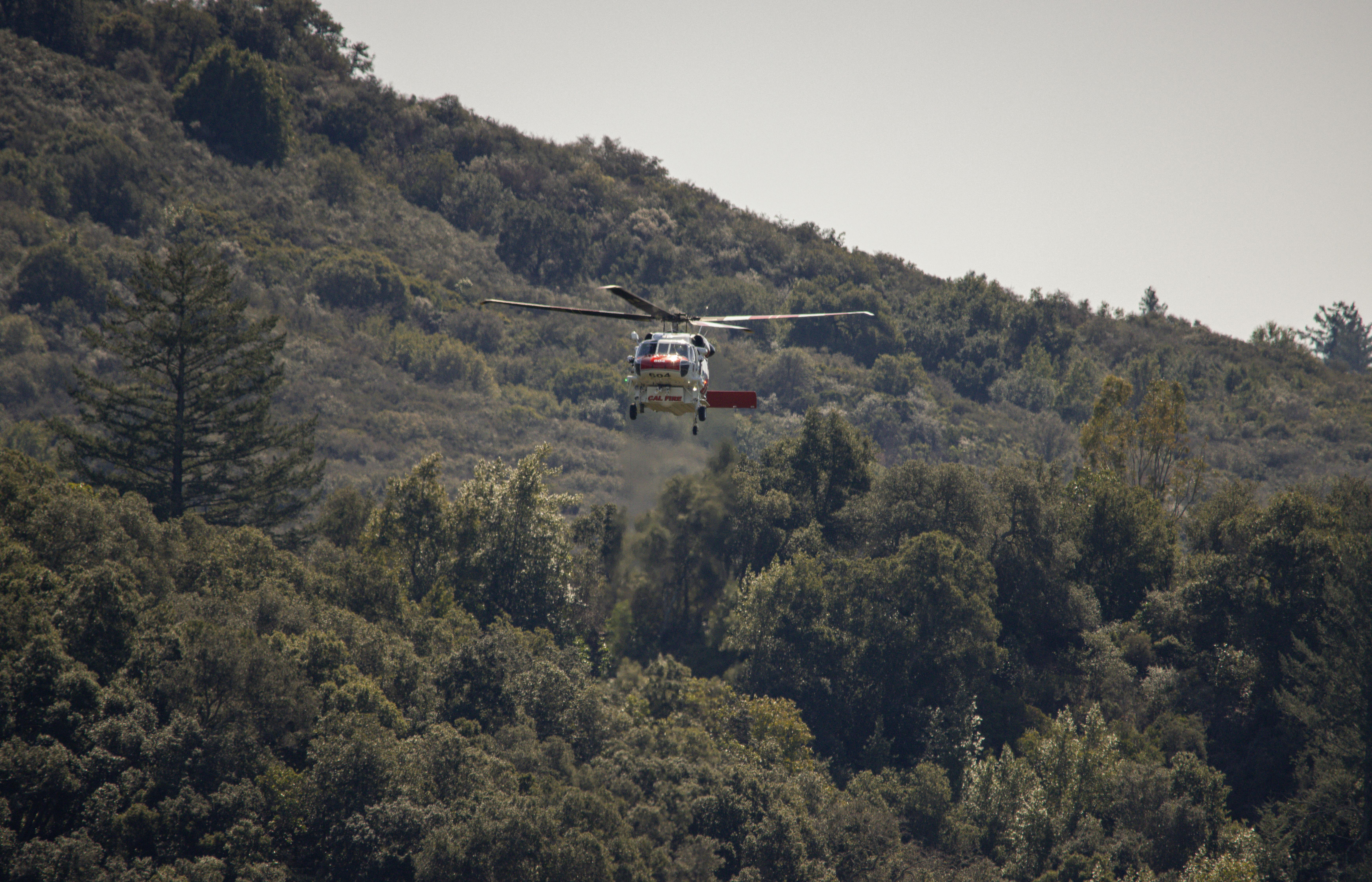 Helicopter Flying over Forest · Free Stock Photo