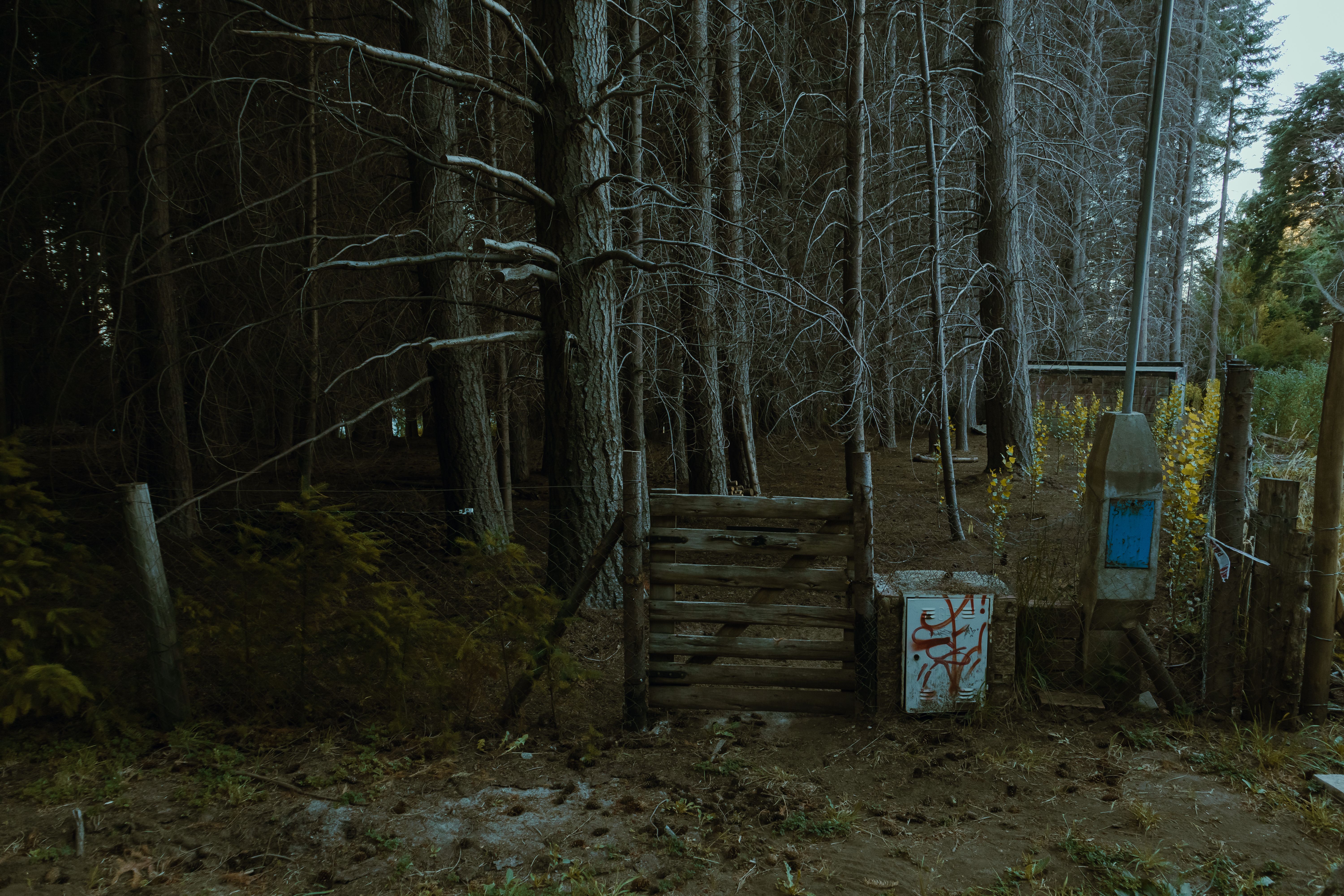 Fence and Wooden Gate in Forest · Free Stock Photo