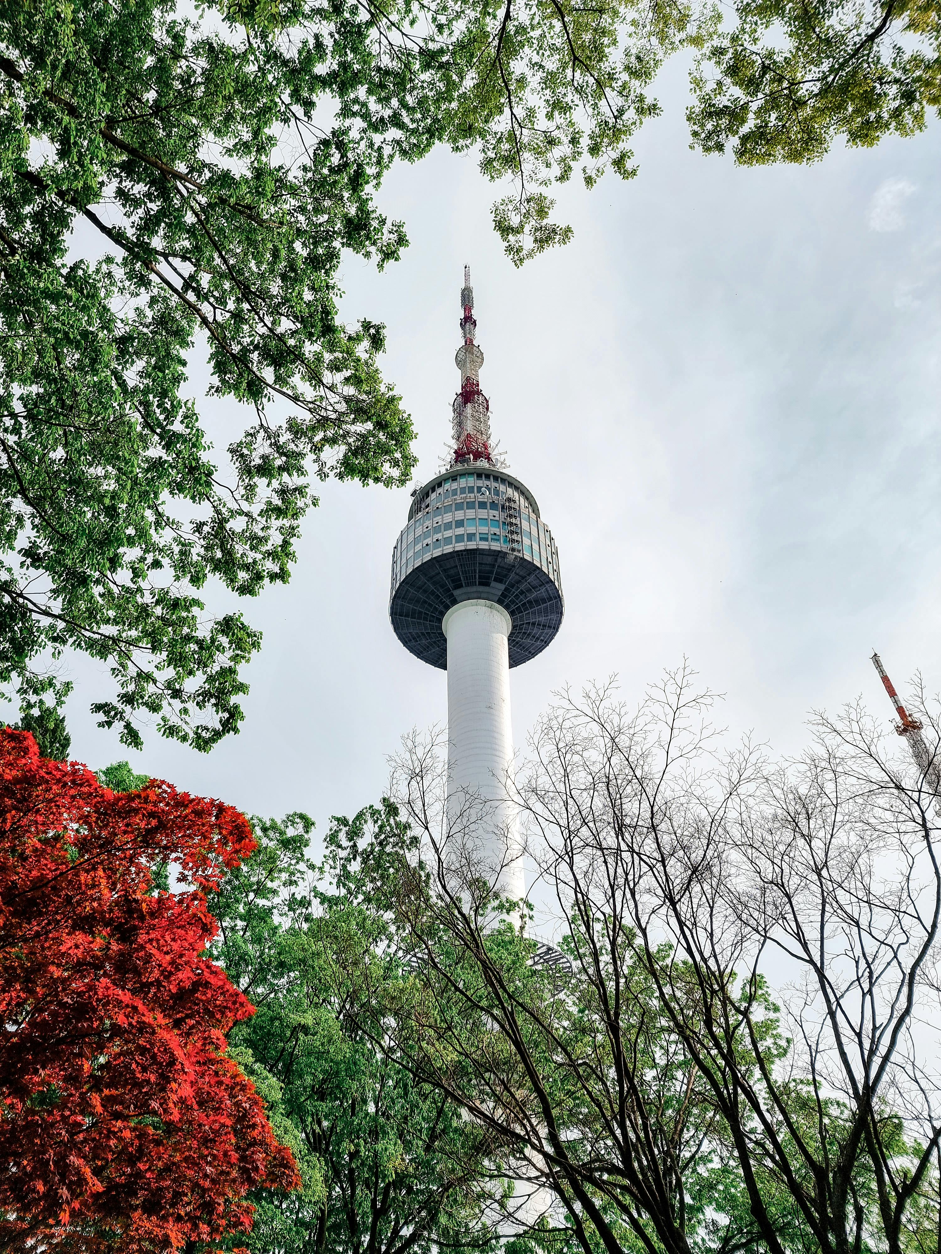 Silhouette of N Seoul Tower Under Purple Sky · Free Stock Photo
