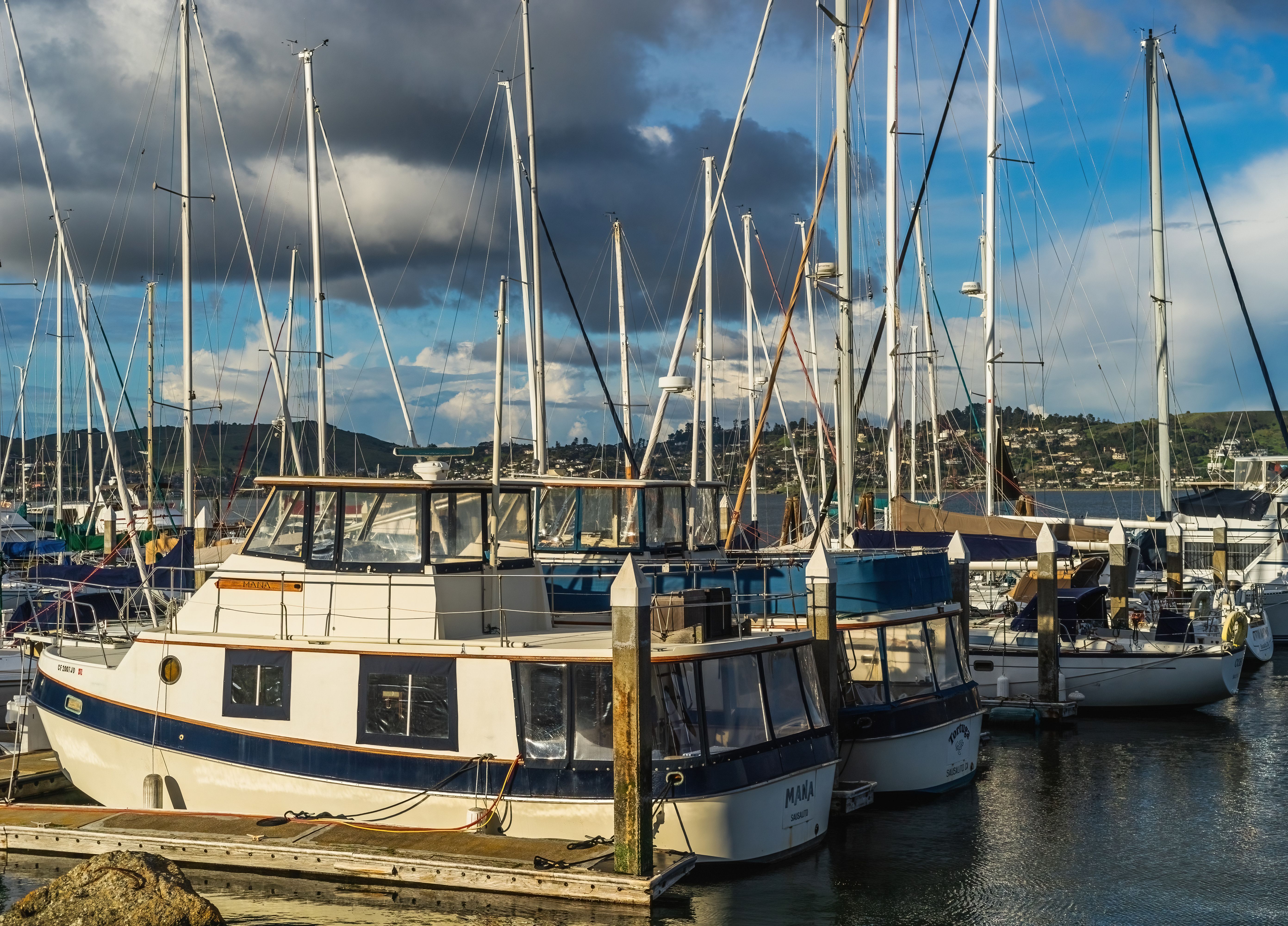 Boats Docked in the Port · Free Stock Photo