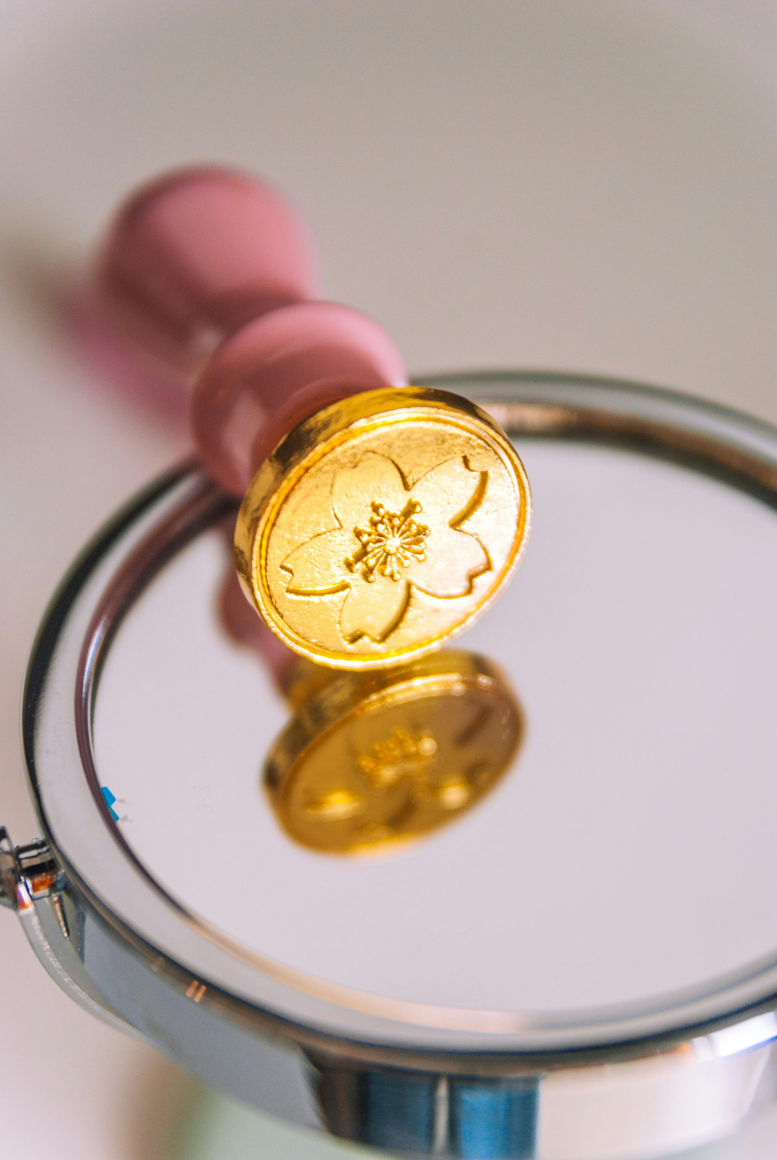 Pink Seal Photos, Download The BEST Free Pink Seal Stock Photos & HD Images