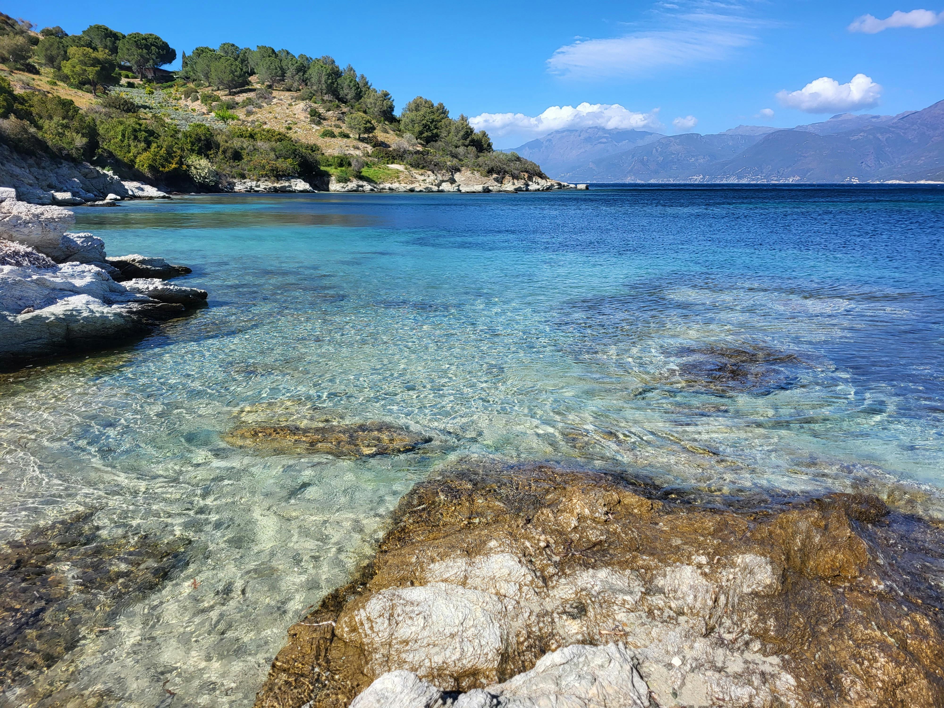 Shallows by the Rocky Seashore · Free Stock Photo