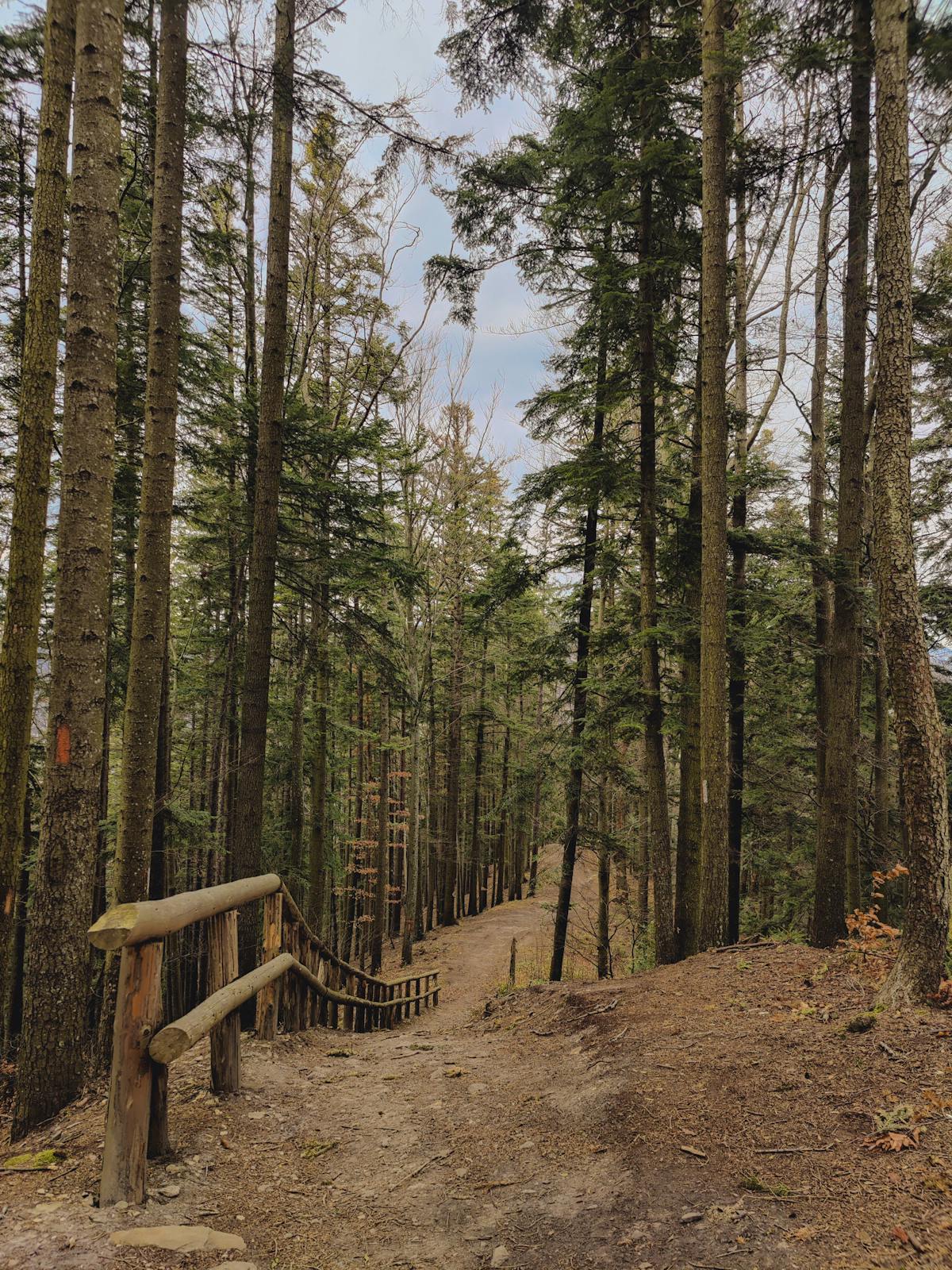 Inka Trail Photos, Download The BEST Free Inka Trail Stock Photos & HD ...