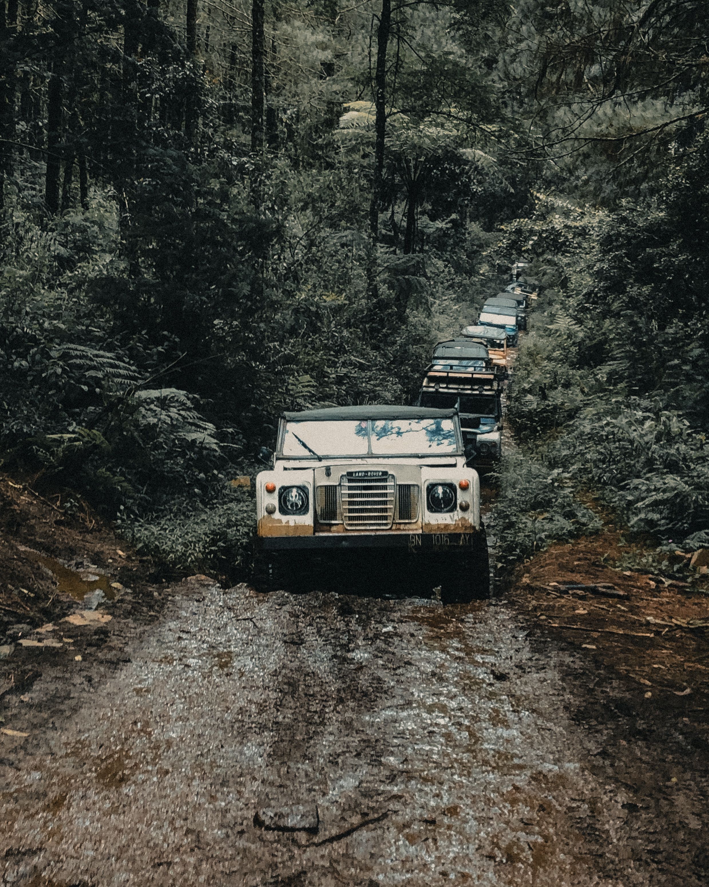 4x4 Cars on Dirt Road in Forest · Free Stock Photo