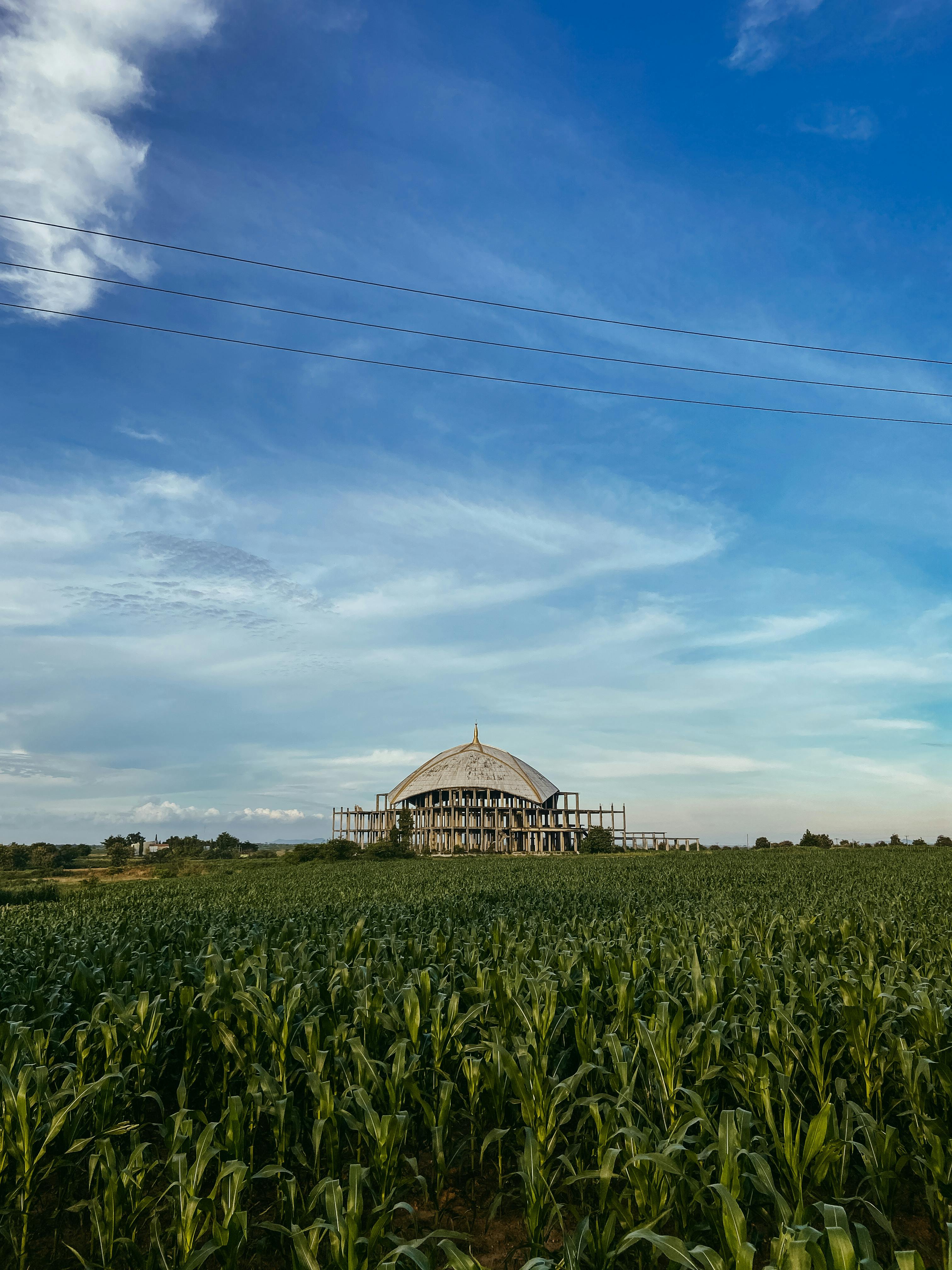 Feild Photos, Download The BEST Free Feild Stock Photos & HD Images