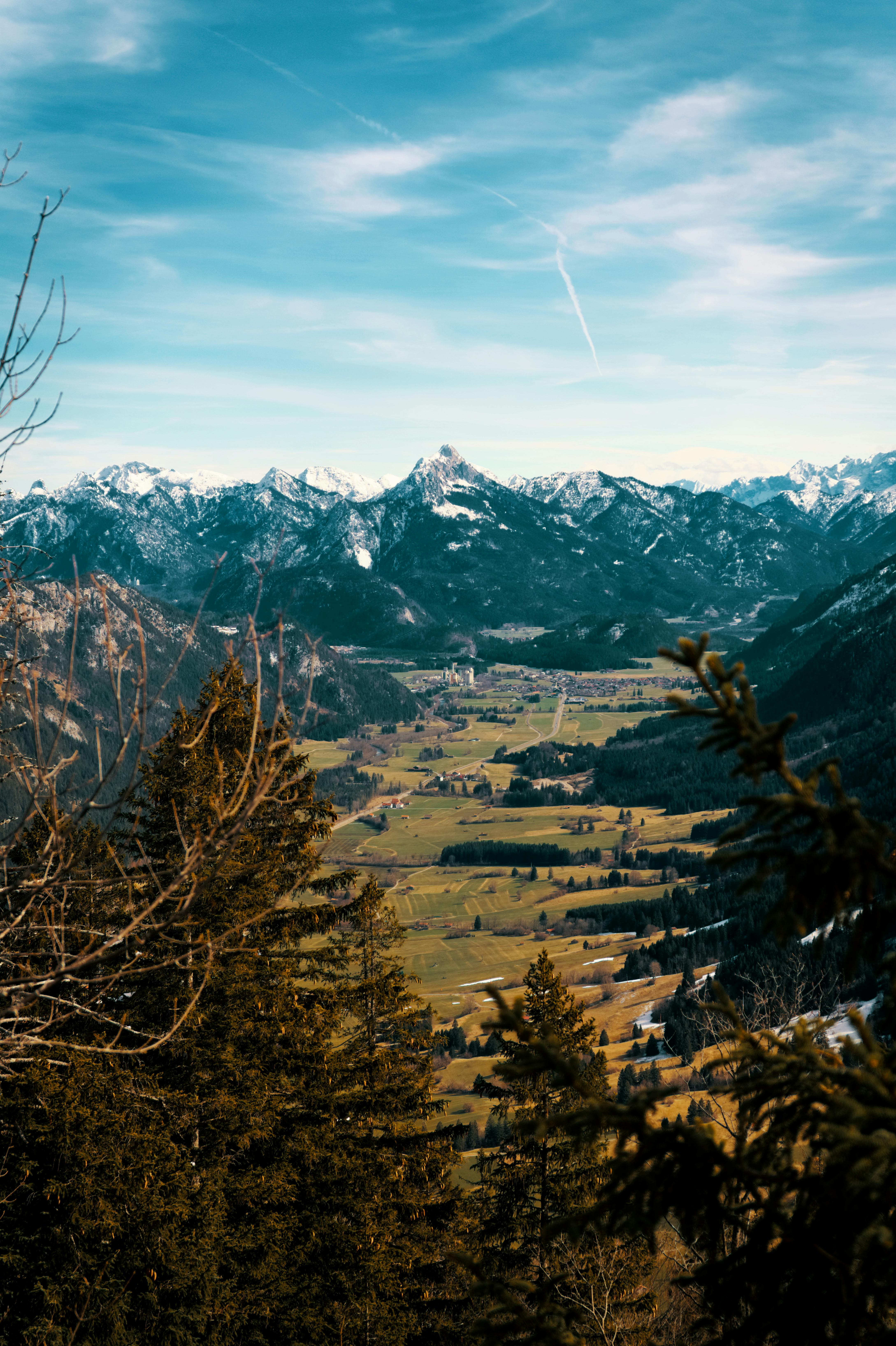 Ücretsiz 4k arka plan, 4k duvar kağıdı, açık hava, ağaçlar, ağaçlar ...