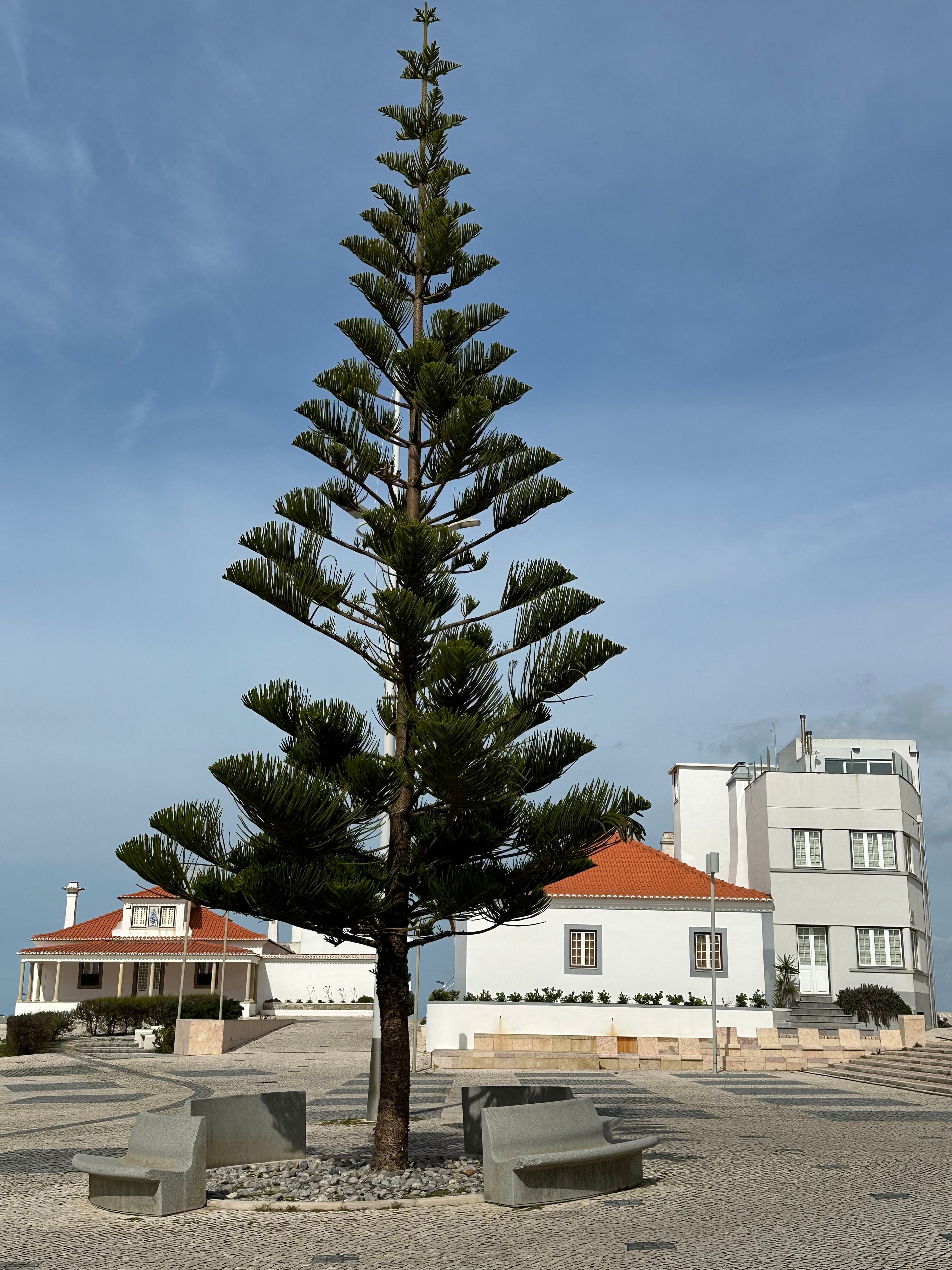 Single Buildings Photos, Download The BEST Free Single Buildings Stock ...