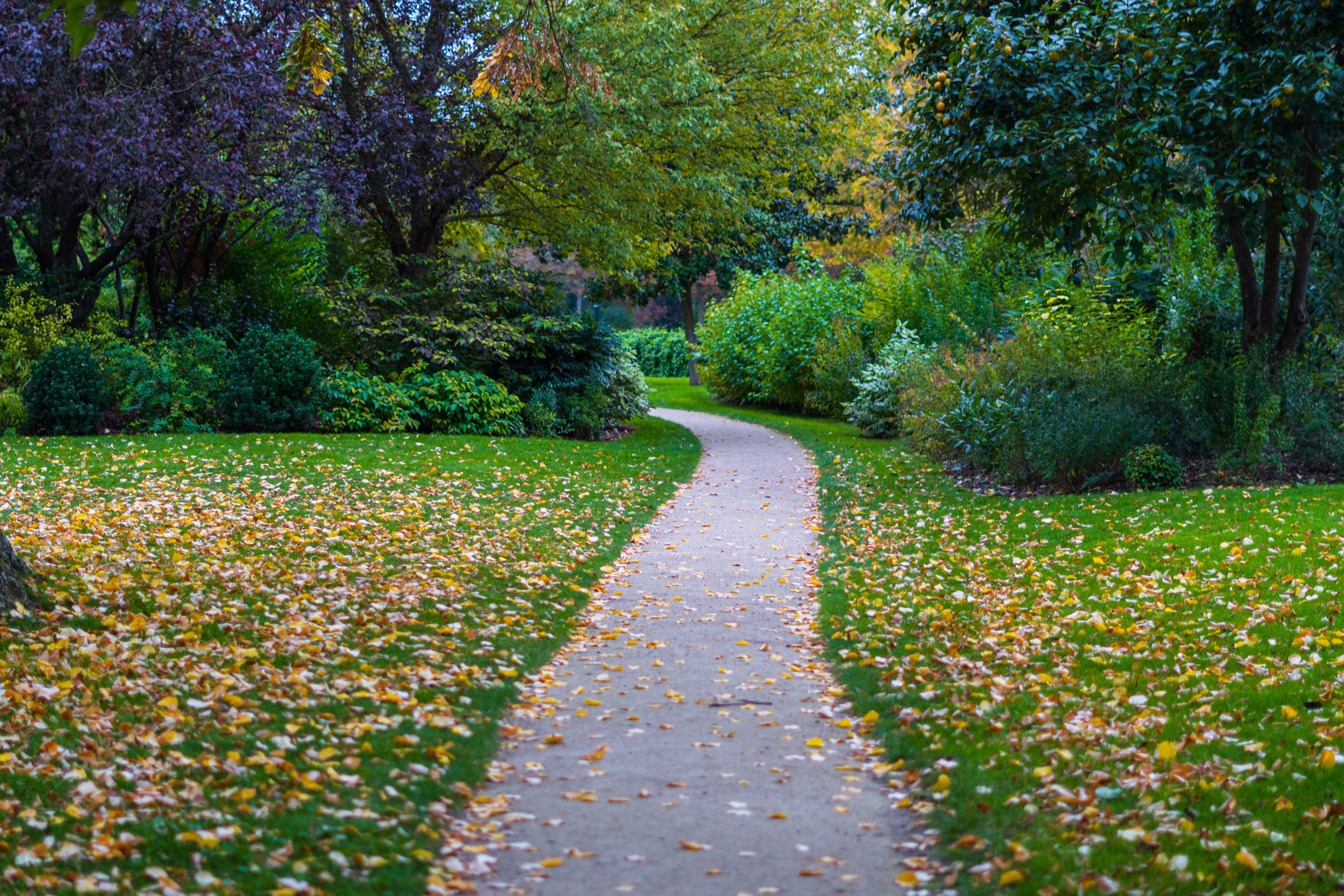 Park Scenery Photos, Download The BEST Free Park Scenery Stock Photos ...
