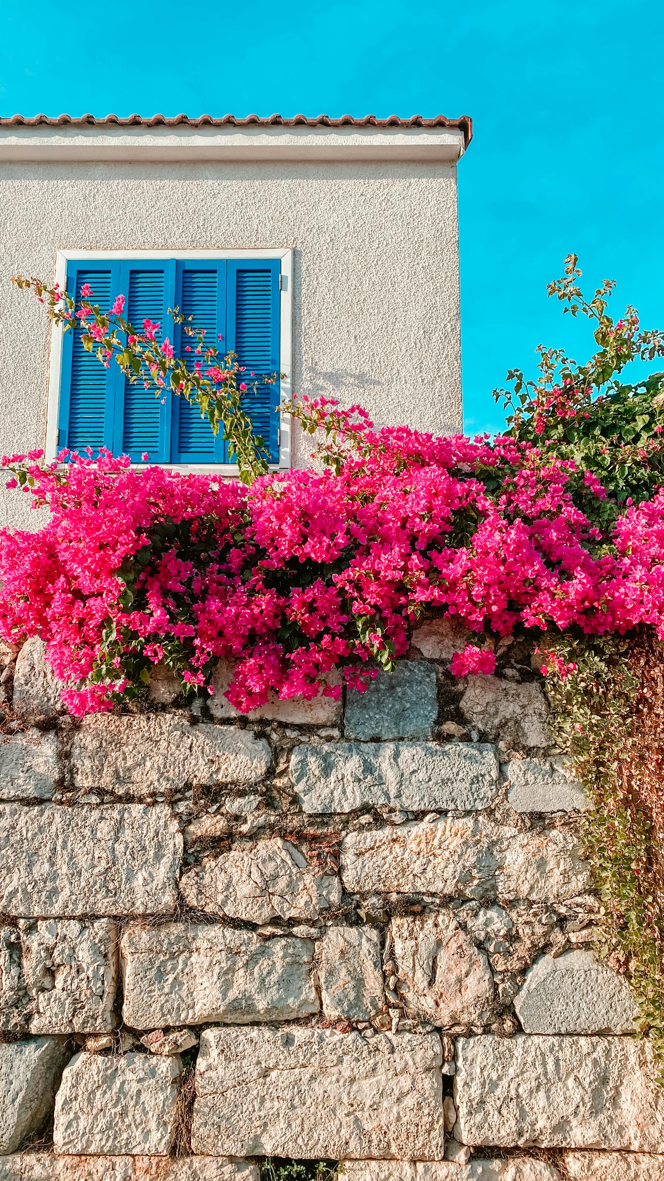 Walls Of A House Being Buil Photos, Download The BEST Free Walls Of A ...